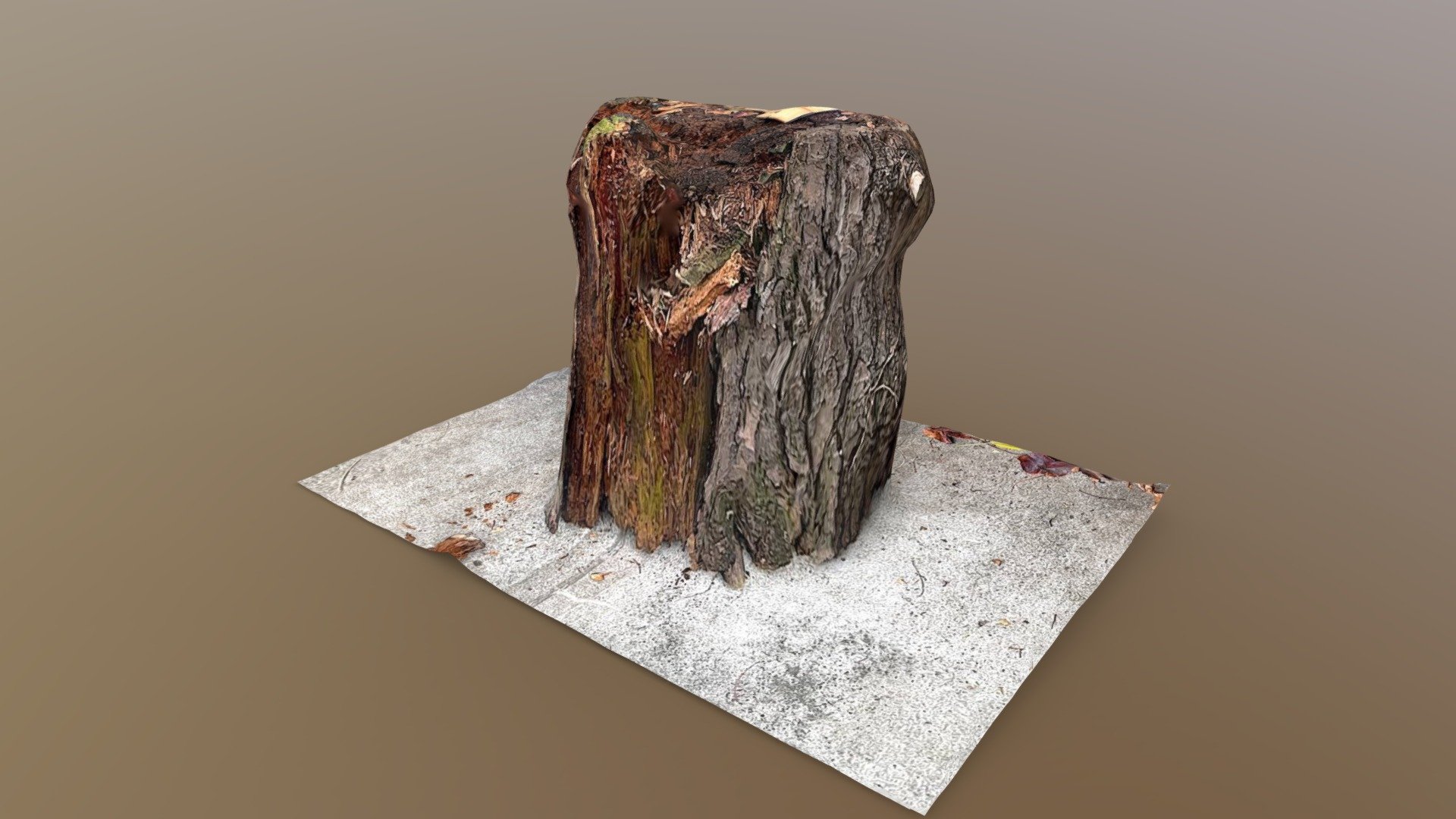 Stump - Download Free 3D model by bk (@bkbklyn) [8babe87] - Sketchfab