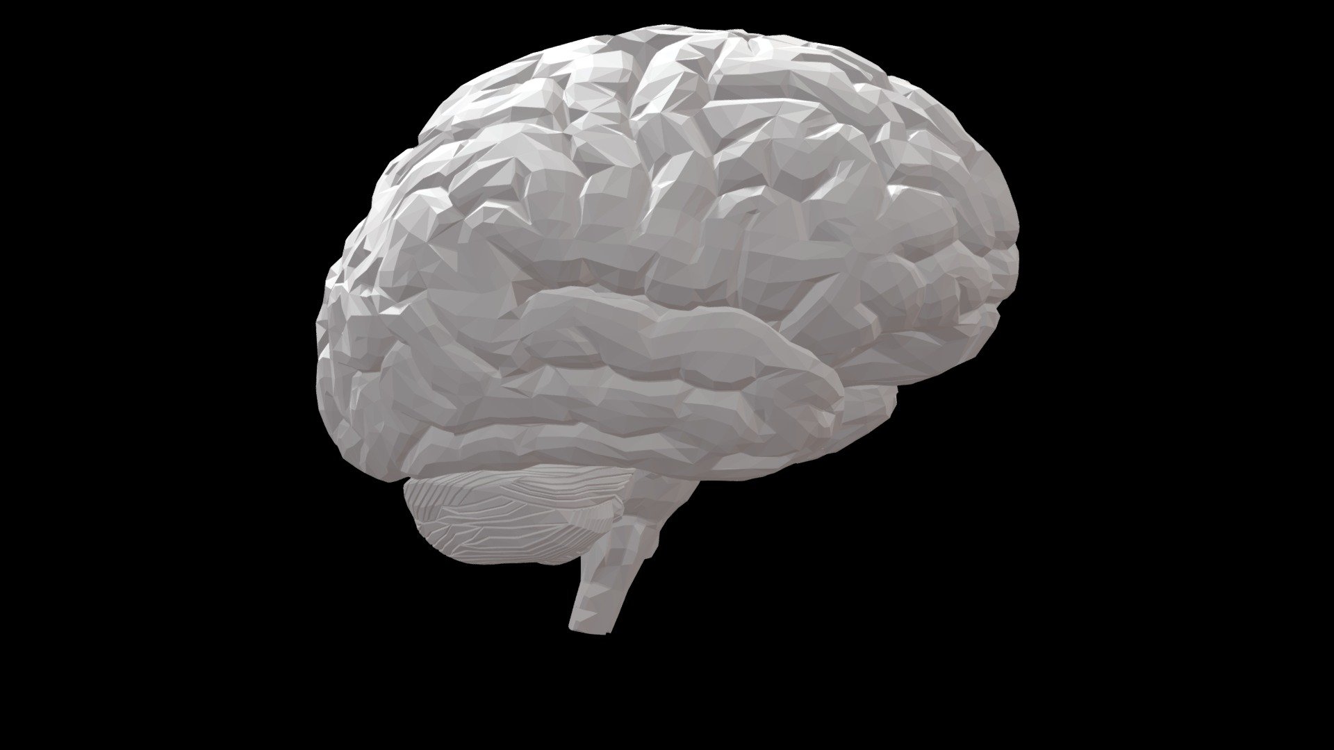 human-brain (1) - 3D model by mo99ghahremani [8bb09c7] - Sketchfab