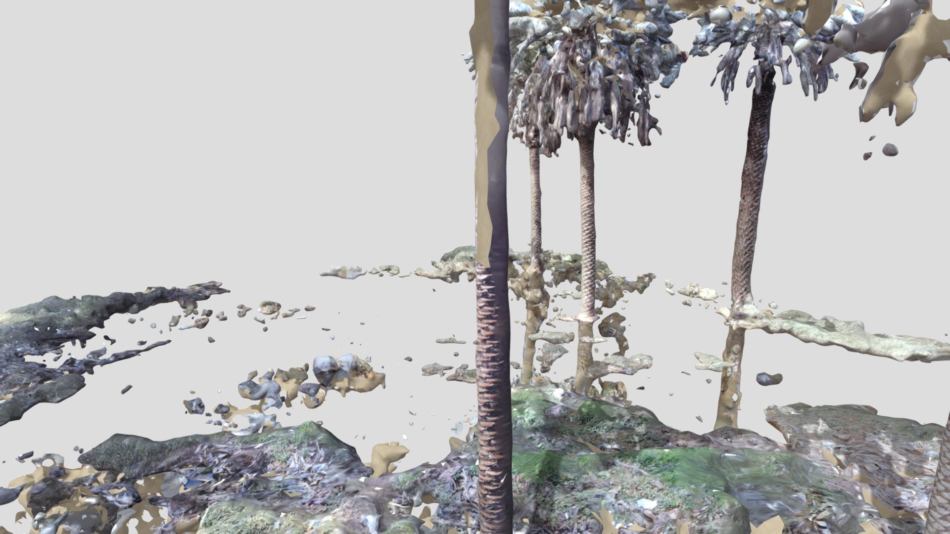 Object export Palm Plantation: USDZ High - Download Free 3D model by ...