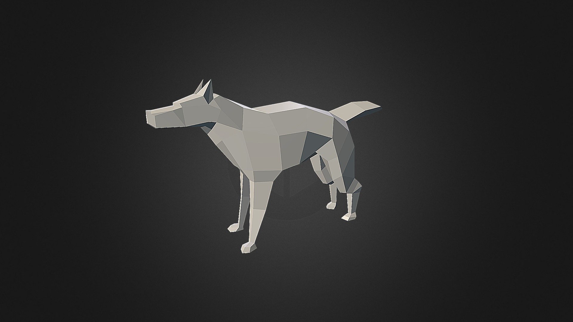 Wolf - 3D model by Thiago Ferraro (@thiagoferraro) [8bb3d15] - Sketchfab