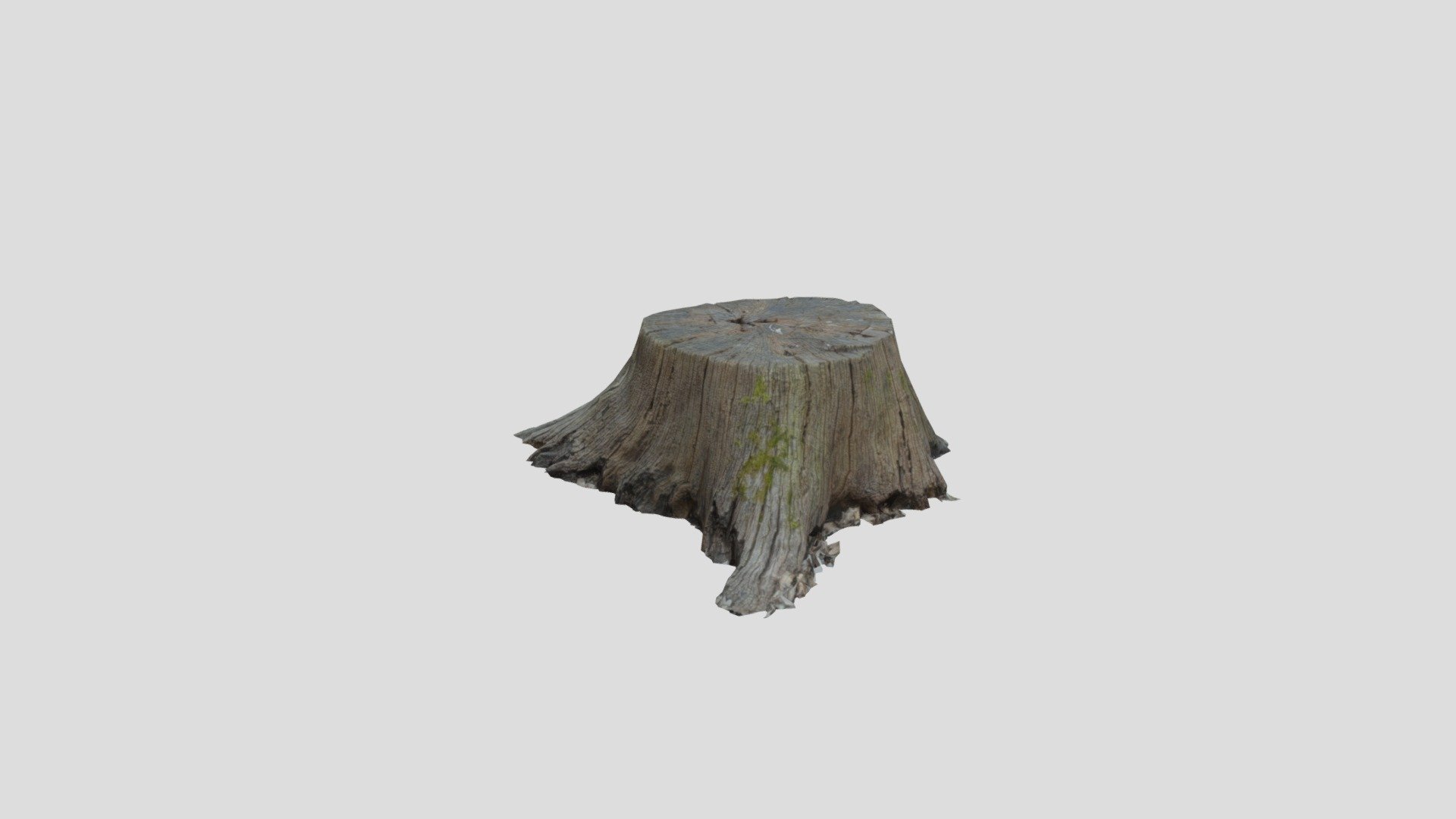 SM_Stump - 3D model by leshiy021178 [8bb5bd0] - Sketchfab