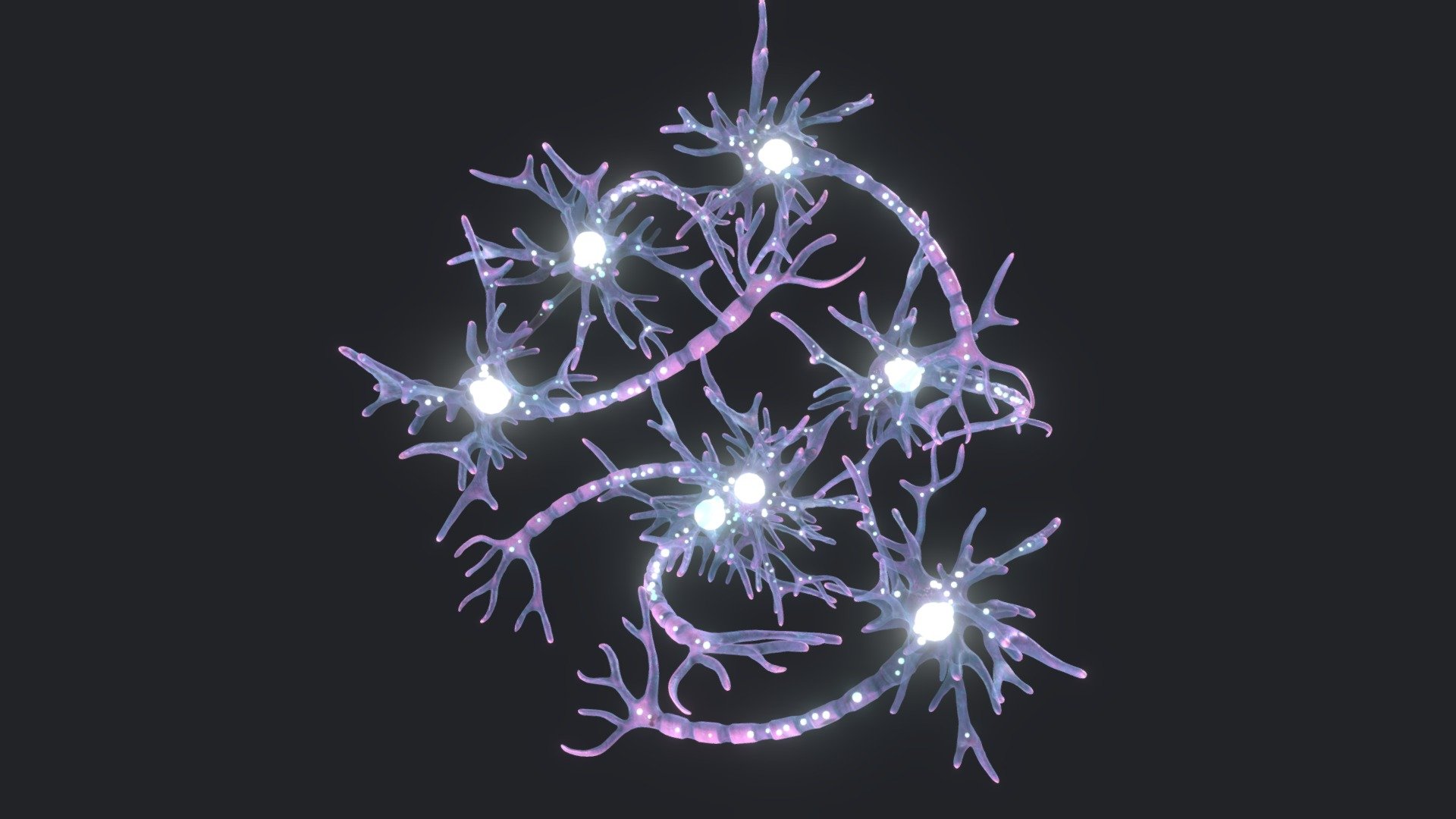 Human Neuron - Buy Royalty Free 3D model by zames1992 [8bbbecb] - Sketchfab Store