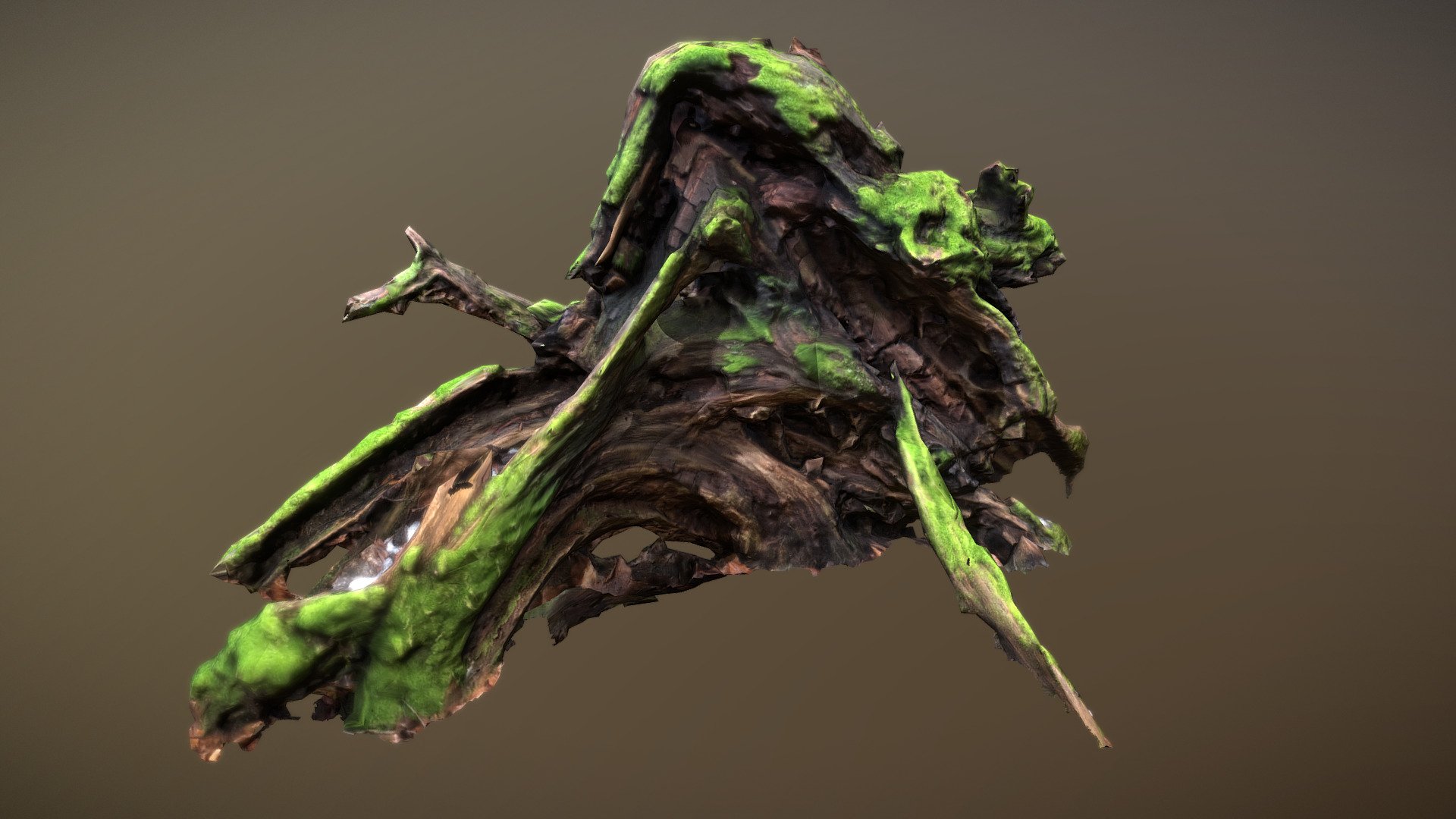 tree root low poly photoscanned - Buy Royalty Free 3D model by ...