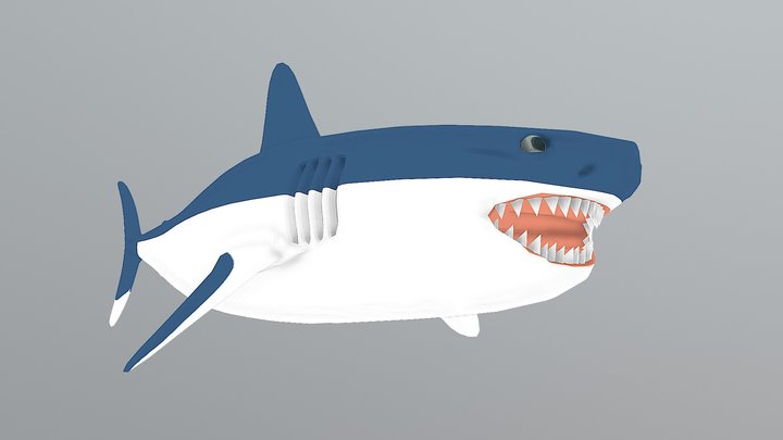 Dogfish 3D models - Sketchfab
