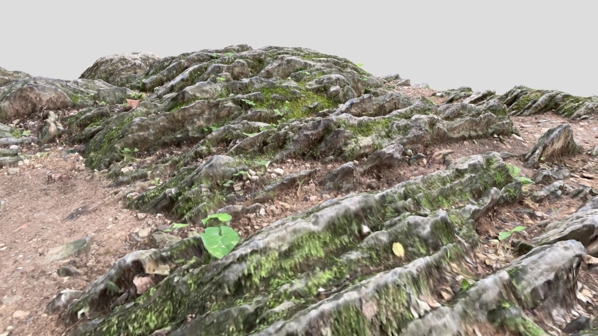 Layered Riverside Stone - Download Free 3D model by RayZh (@horizon ...