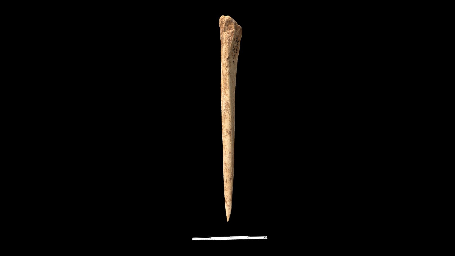 Bone Awl, Oneota Culture - 3D model by danderson4 [8bd3ef7] - Sketchfab