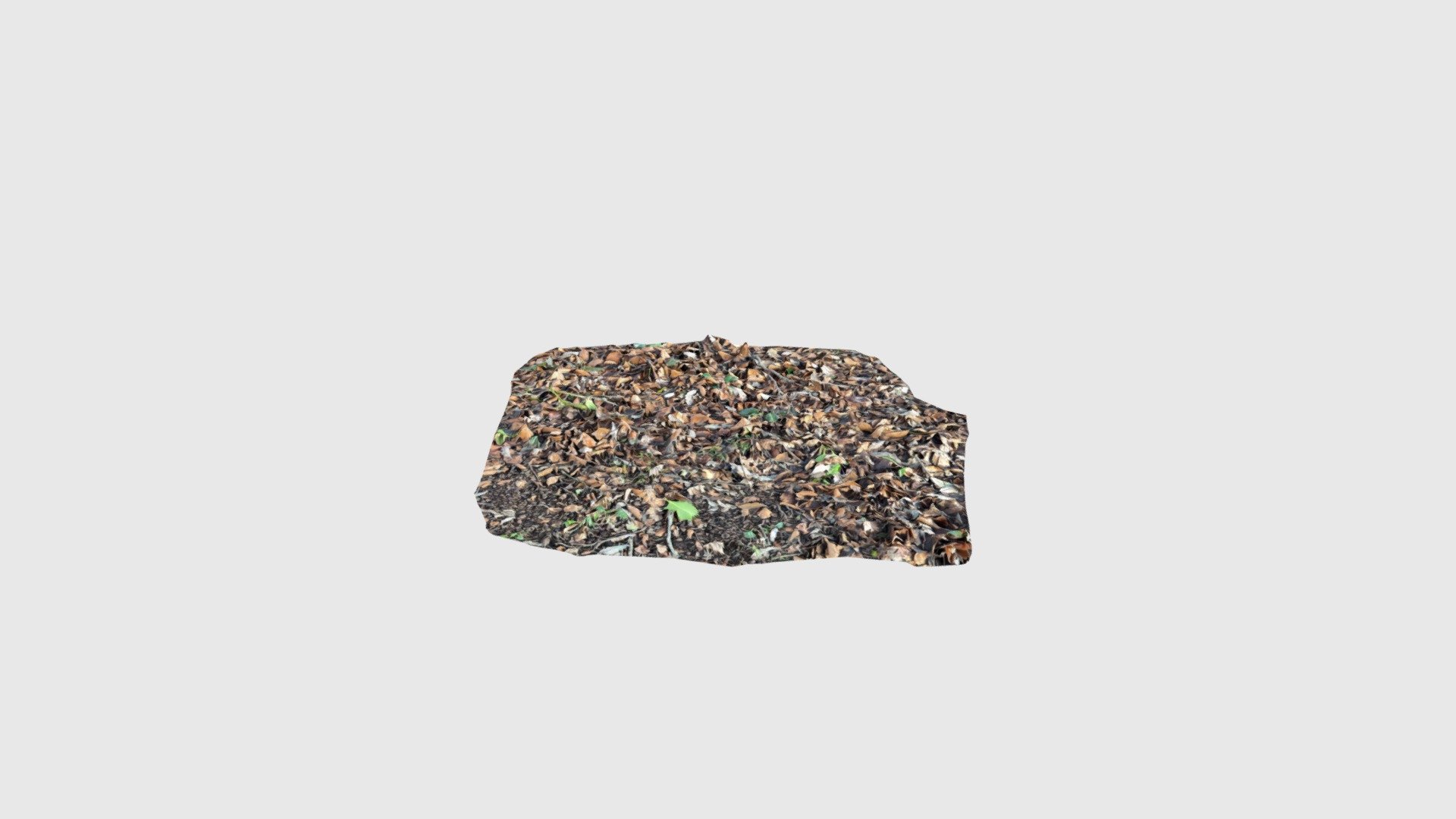 Leaf covered ground patch - Download Free 3D model by vanceagrig ...