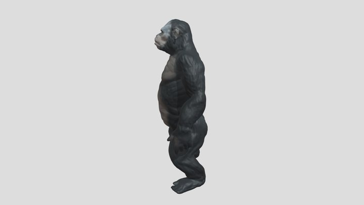 Simio 3D models - Sketchfab