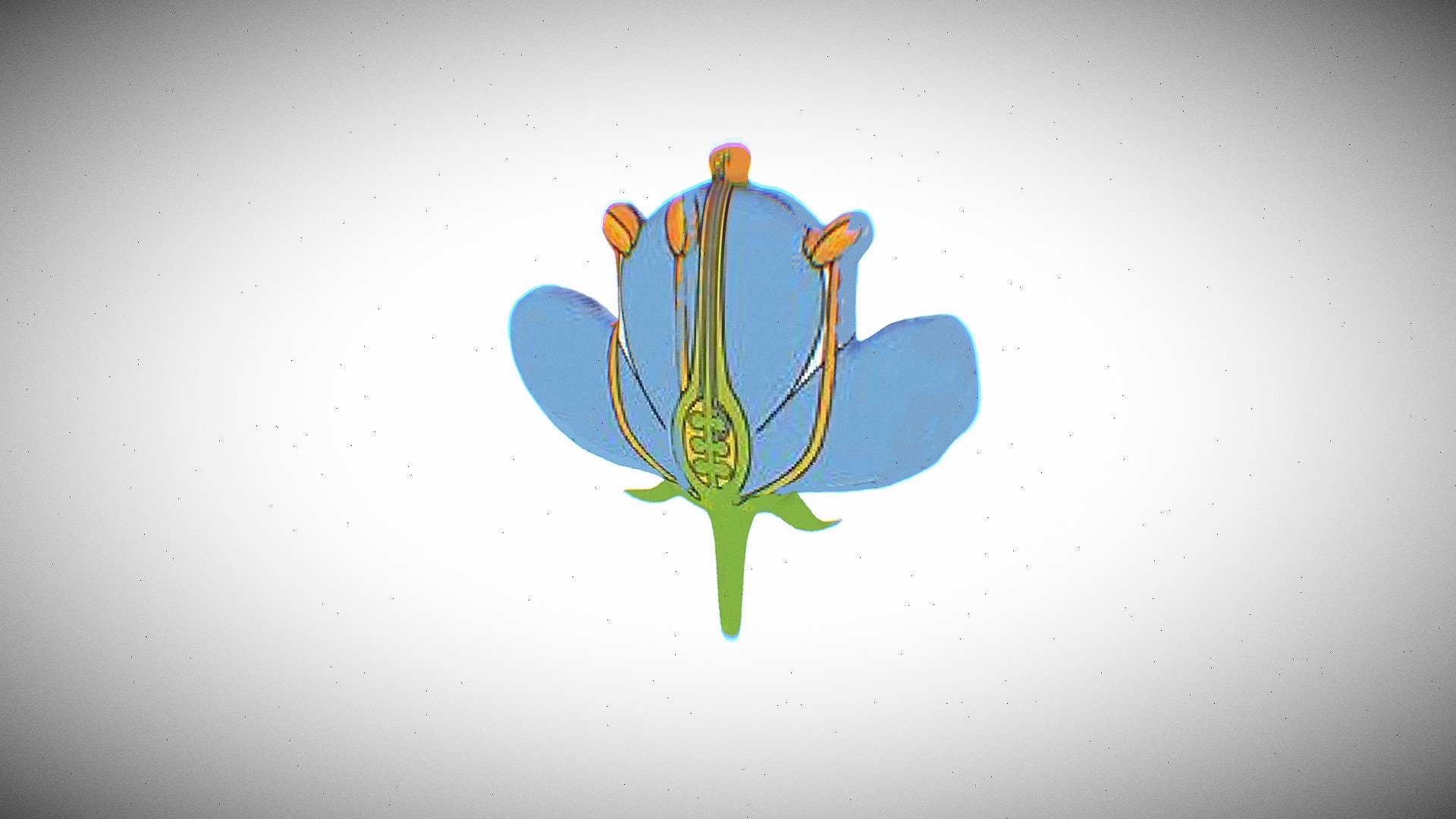 Part of Flowers - Download Free 3D model by ddwidjayanti [8c05ef2 ...