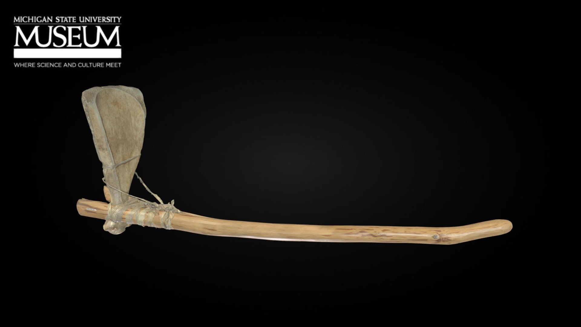 Replica Scapula Hoe - Download Free 3D model by MSU DHI Lab [8c09411 ...