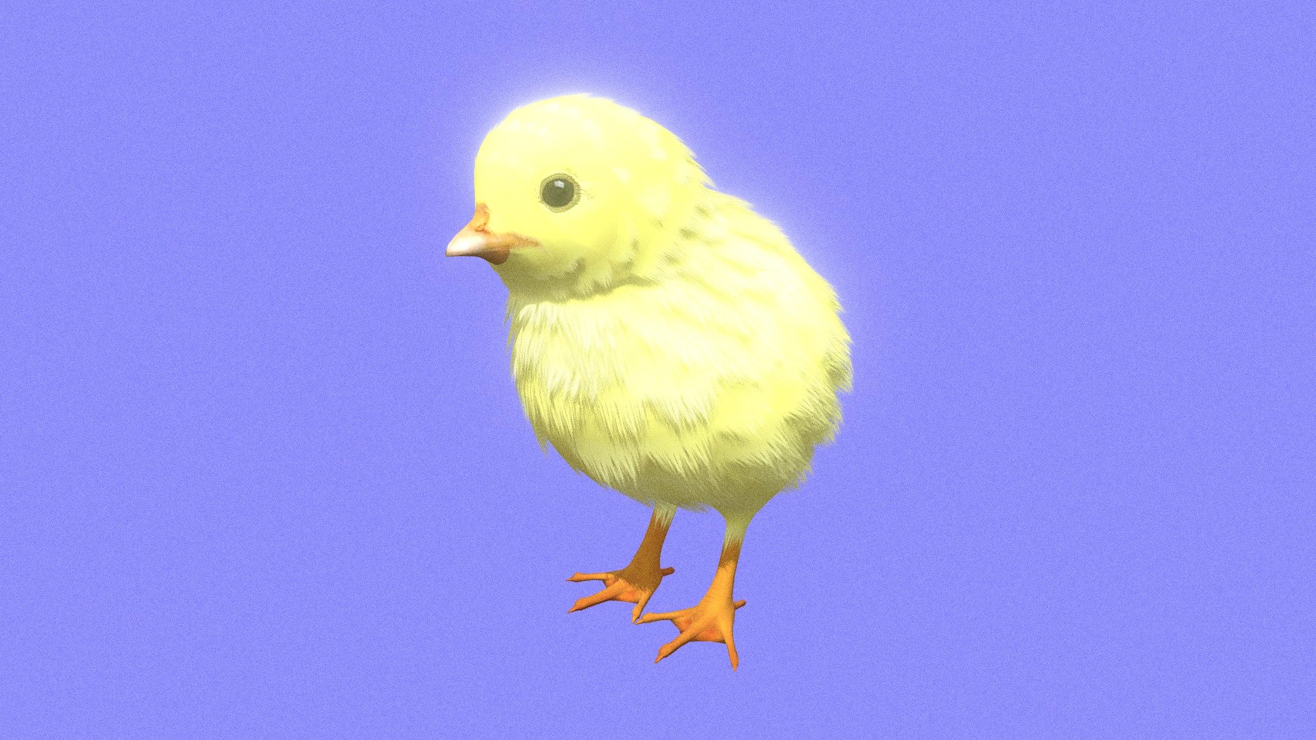 Chick - Pollito - Download Free 3D model by GumballDev (@Mihael ...