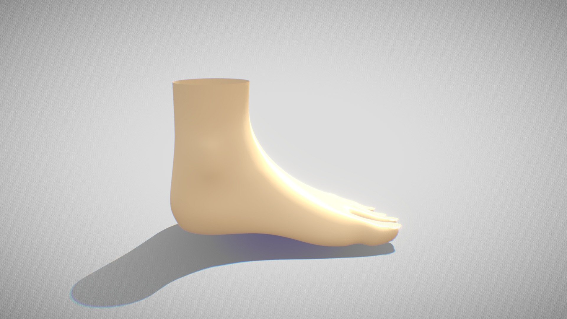 Foot - Download Free 3D model by BlueDittox (@PlanitooXL) [8c0abb7 ...