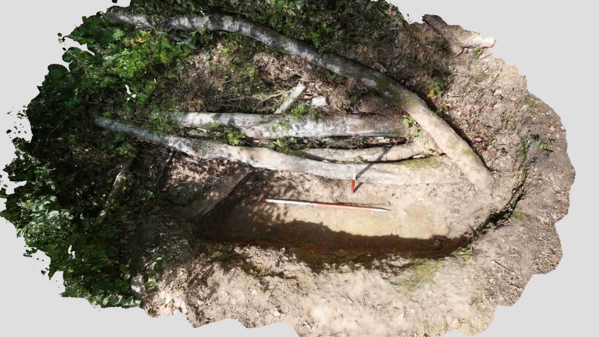 SLIT TRENCH 2 - Bitchet Common, Kent - 3D model by peterbarry [8c0e2c1 ...