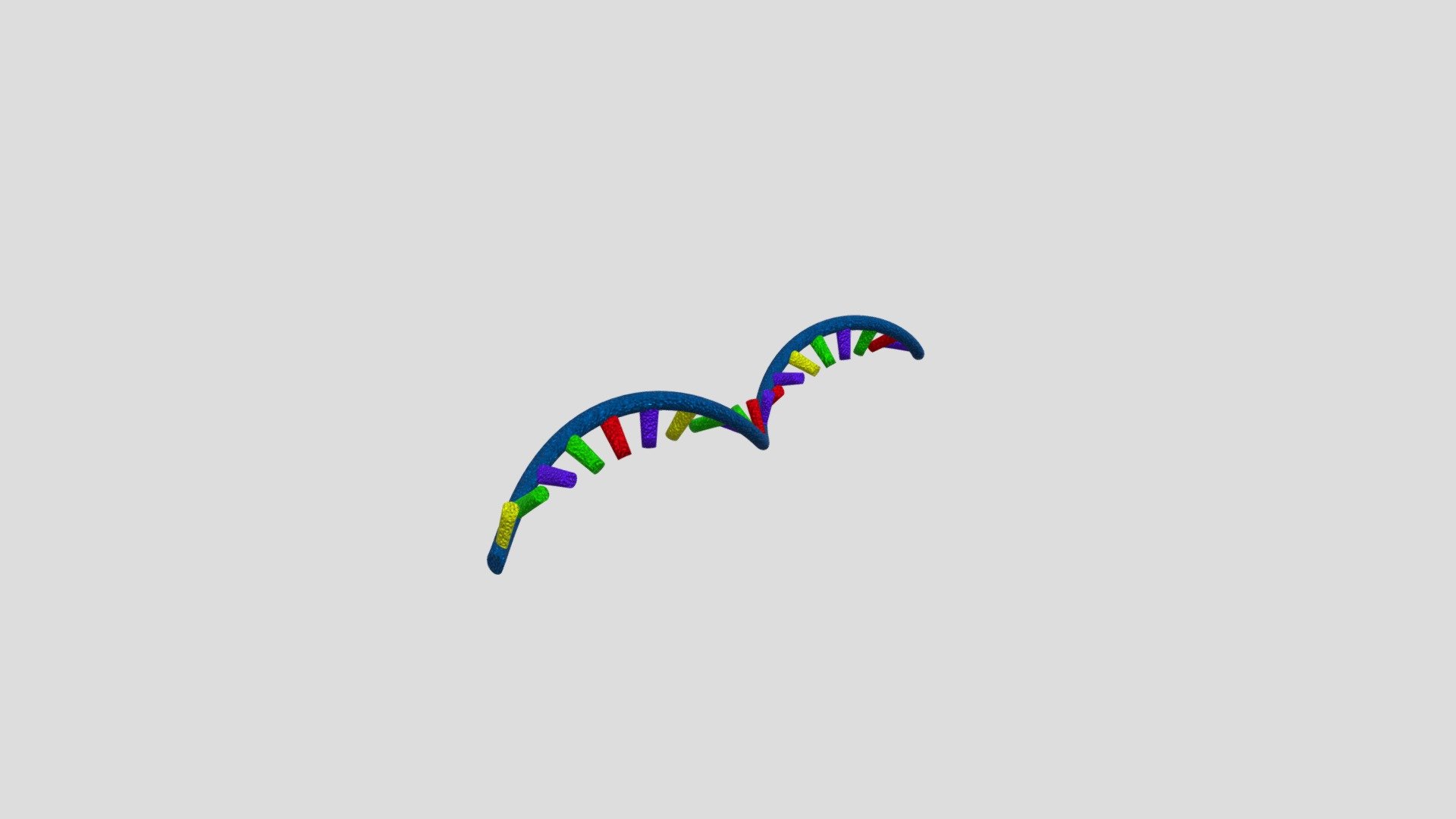 rna - 3D model by yenikristia1 [8c13c0a] - Sketchfab
