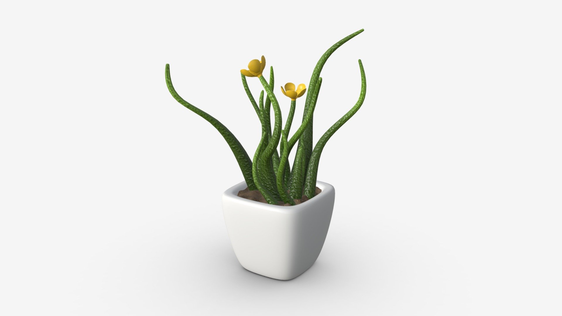 Artificial plant 02 - Buy Royalty Free 3D model by HQ3DMOD ...