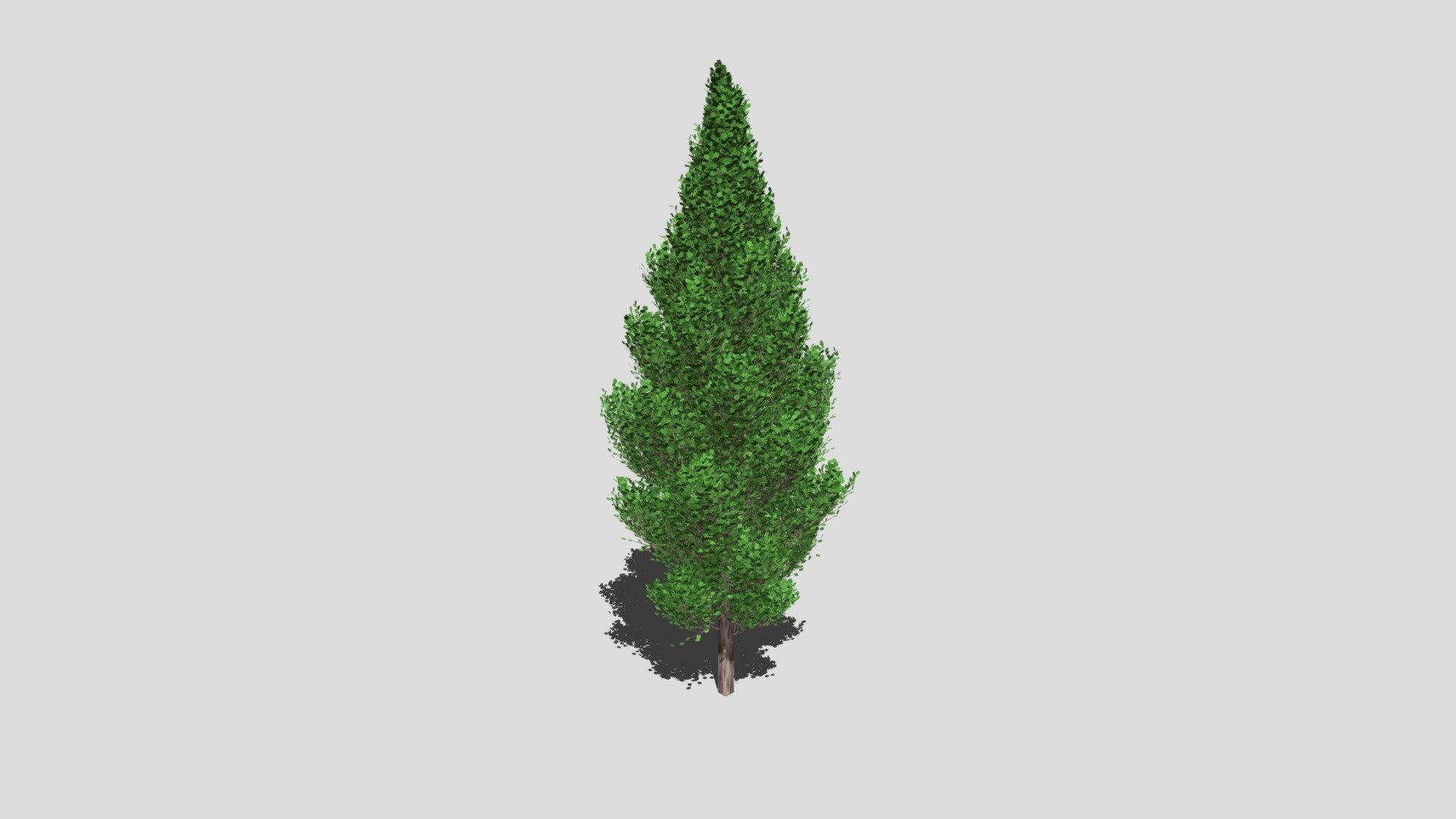 4 tree variations (spruce) - Download Free 3D model by AZER TEA (@kuzel201) [8c1cc8f] - Sketchfab