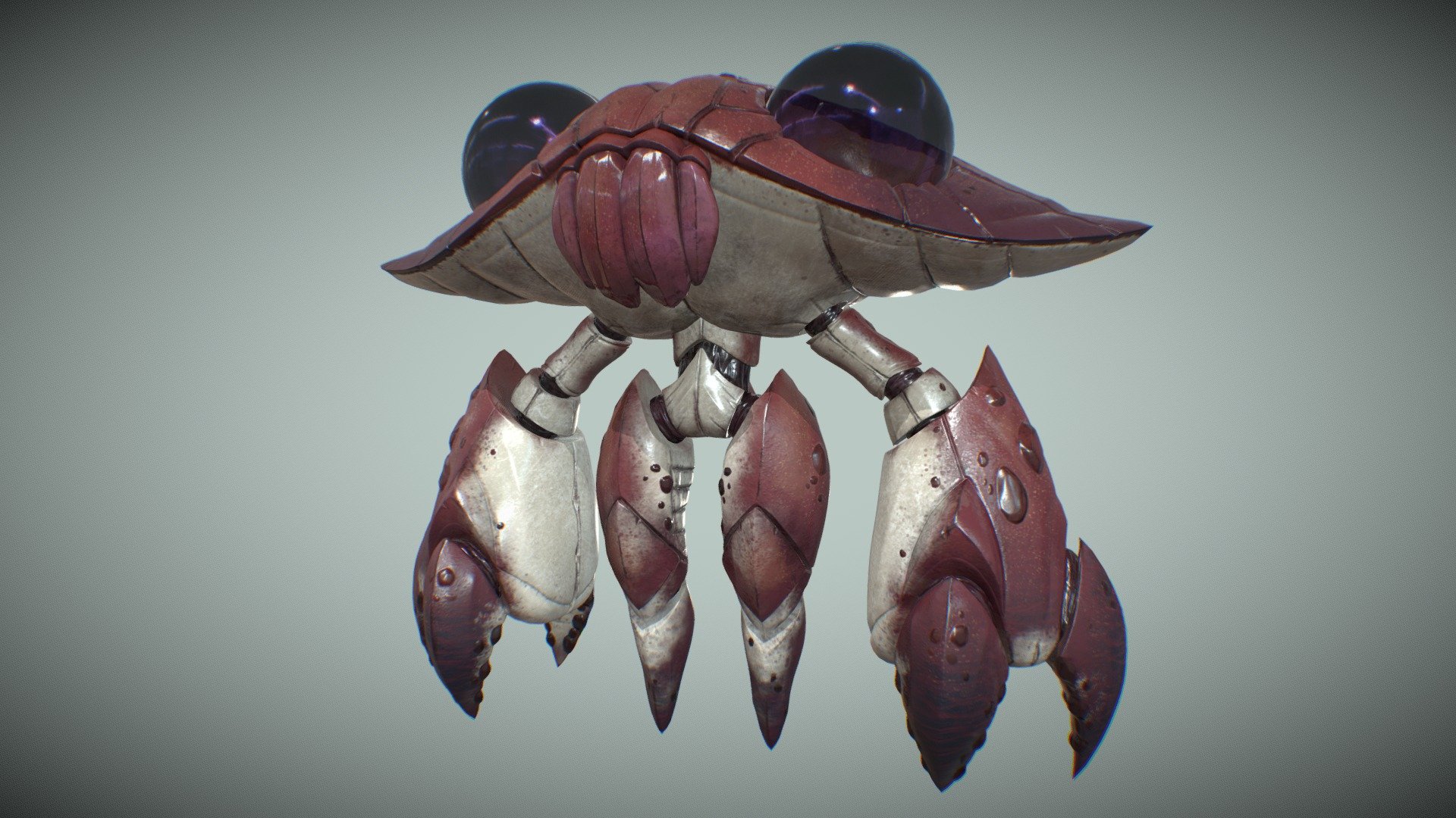 Sheldon The Crobster - 3D model by Luca_Morre [8c1e12c] - Sketchfab
