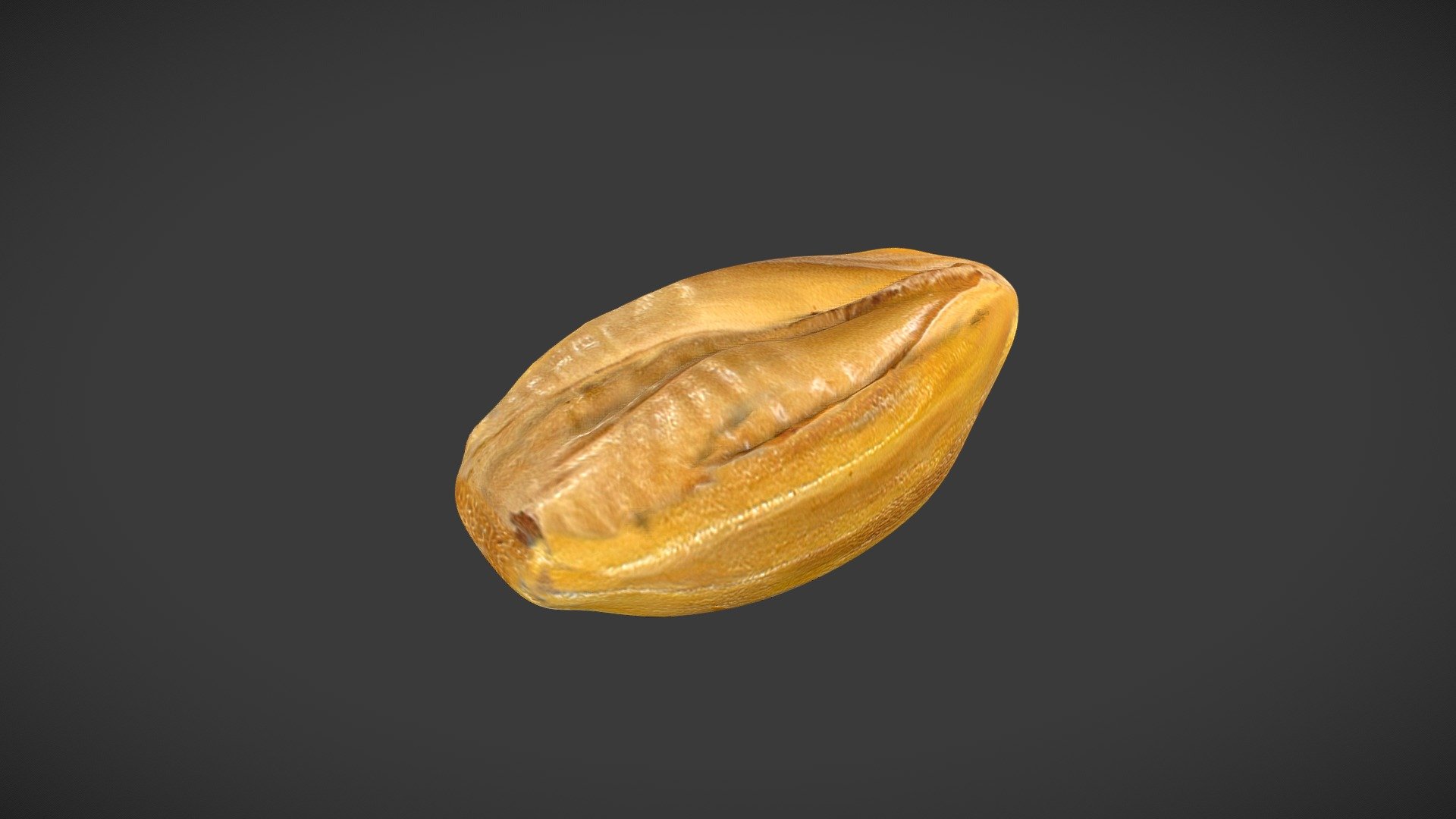 6 Row Barley - 3D model by Oregon State University | Ecampus [8c2456c ...
