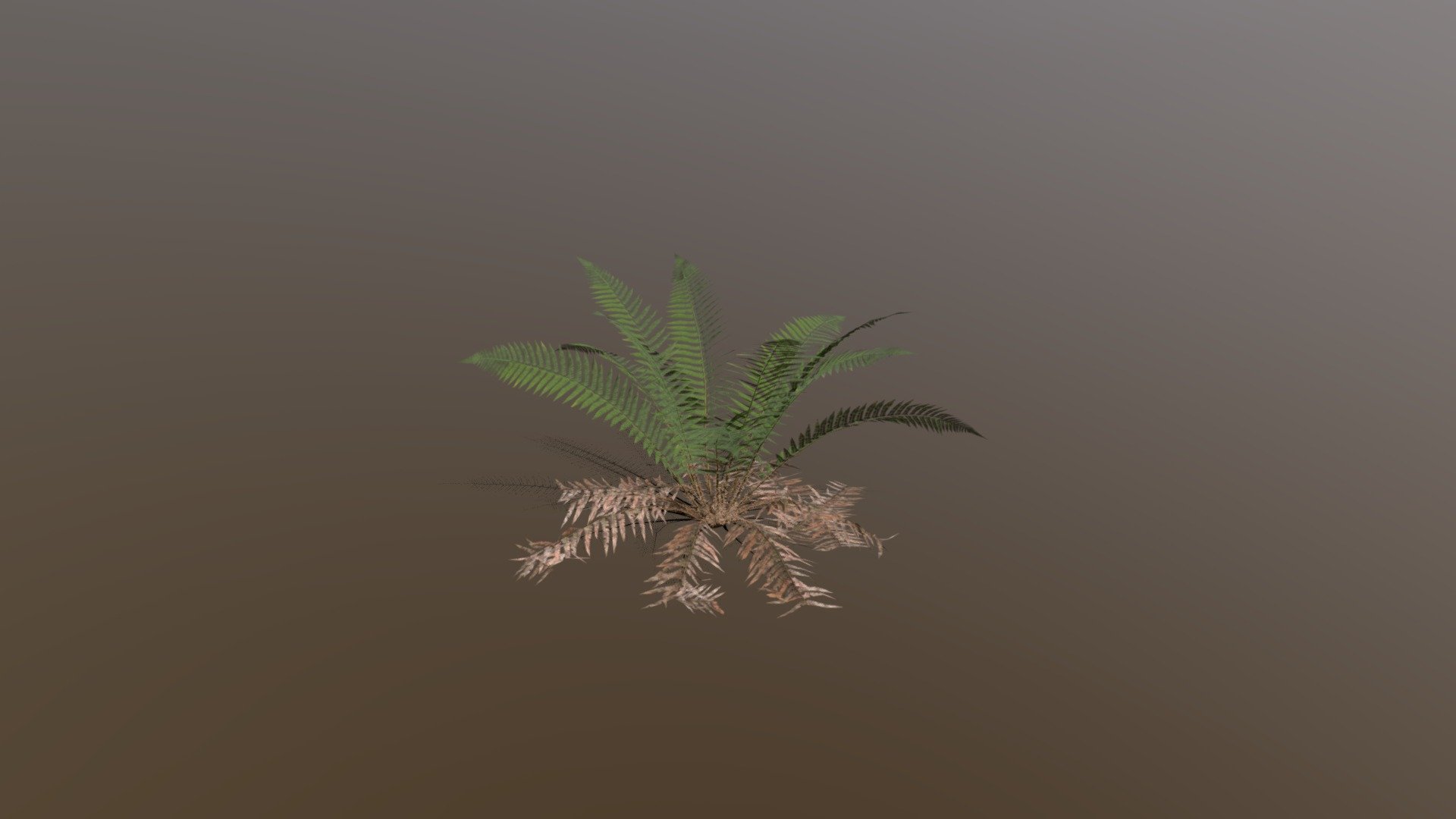 Dryopteris Filix-mas LD_LOD4 - Download Free 3D model by henry-212 ...
