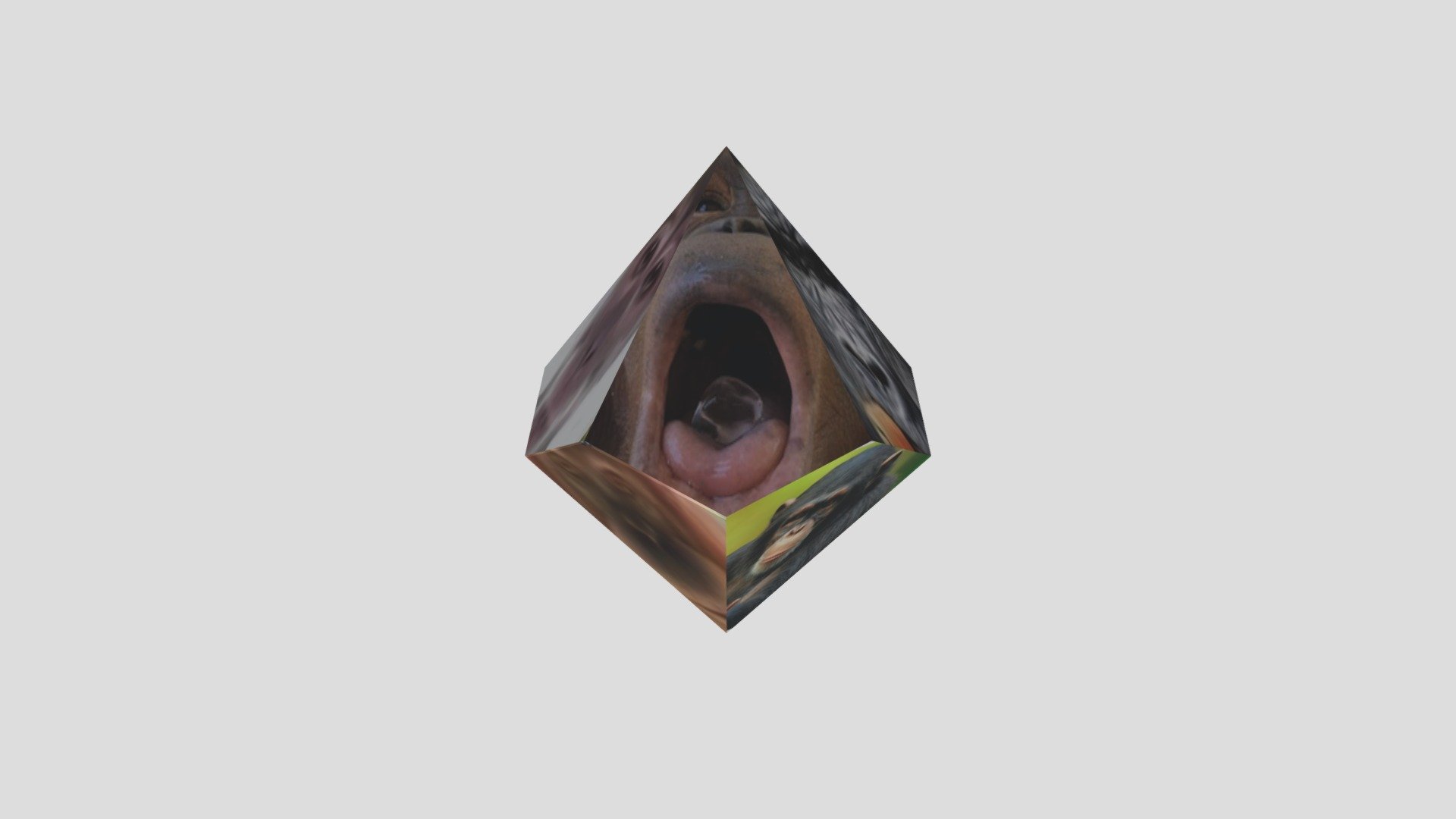 The Primate Pantheon Decahedron 3d Model By Mordeon [8c2fcc6] Sketchfab