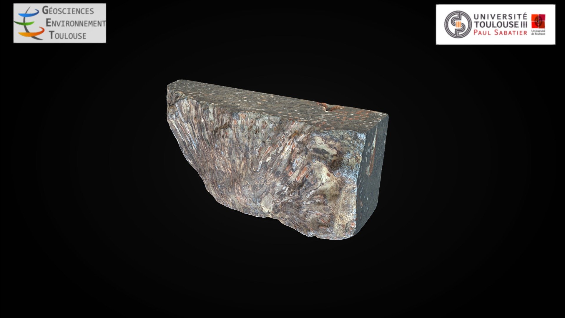 corail B - Download Free 3D model by Marc de RAFELIS (@derafelis ...