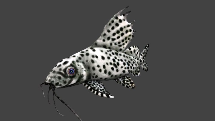 Seaworld 3D models - Sketchfab