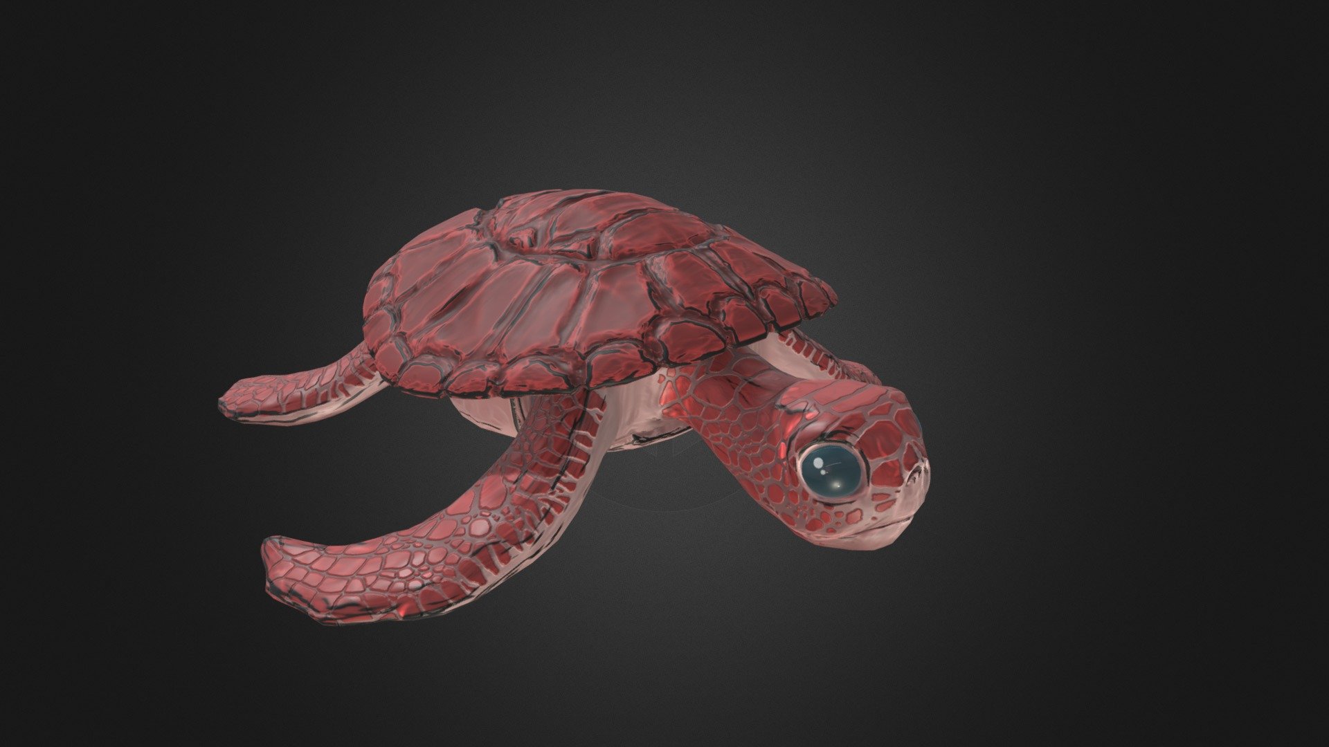 Stylized Turtle - 3D model by TopazDragon117 [8c3a9a1] - Sketchfab