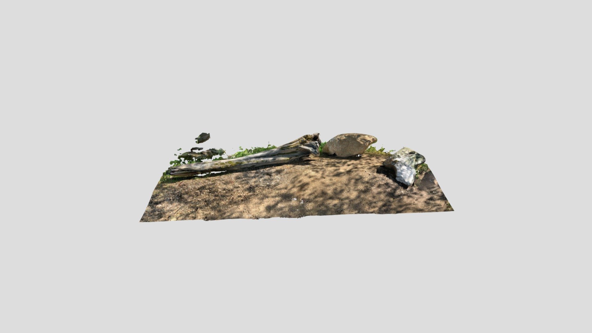 Tree and stones - Download Free 3D model by Piphagor [8c3b952] - Sketchfab