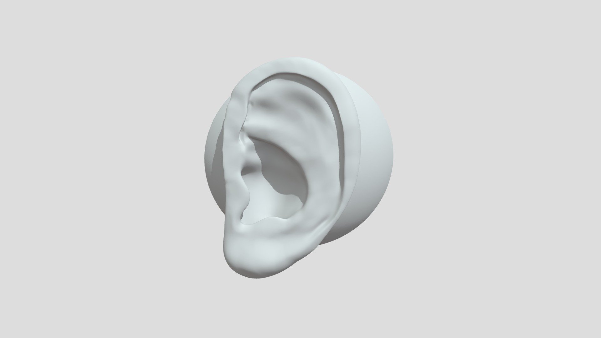 Ear 2 Sculpt - 3D model by the737flyer [8c3e23c] - Sketchfab