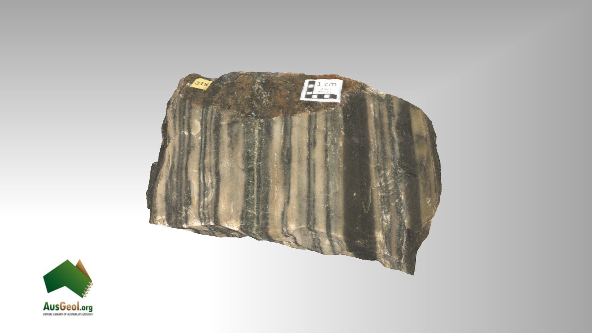 Krantz_318 - 3D model by AusGeol.org (@AusGeol) [8c4467d] - Sketchfab