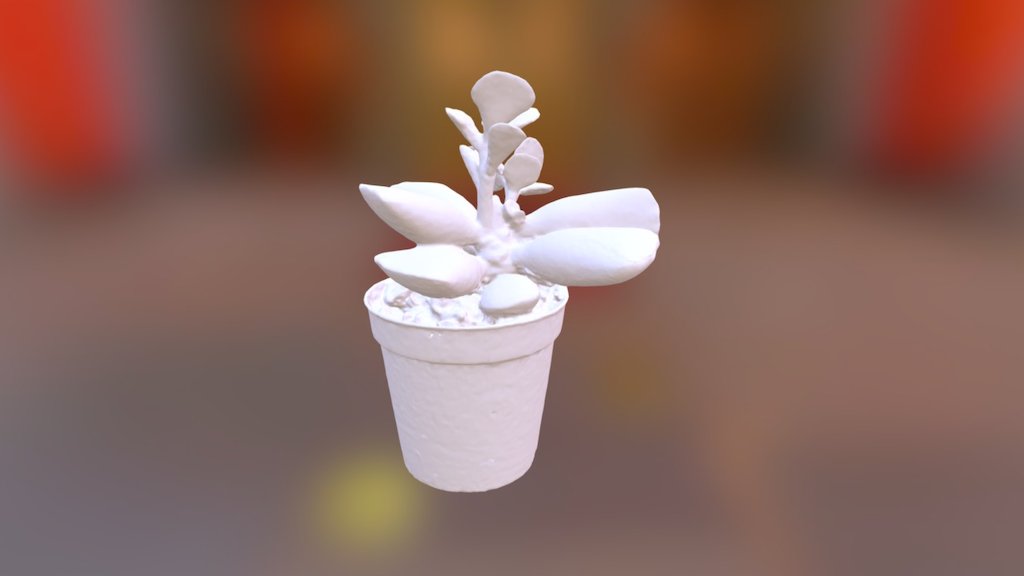 Succulent - 3D model by carolelle [8c4f67c] - Sketchfab