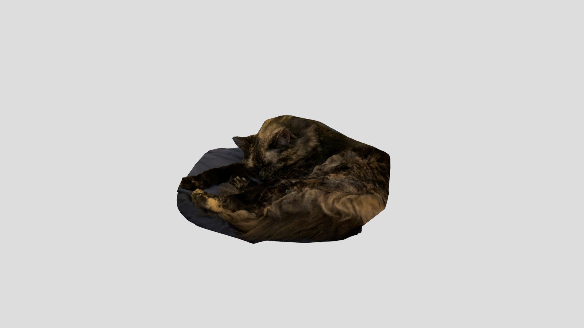 Toffee having a nap - Download Free 3D model by PHORIA XR STUDIO ...