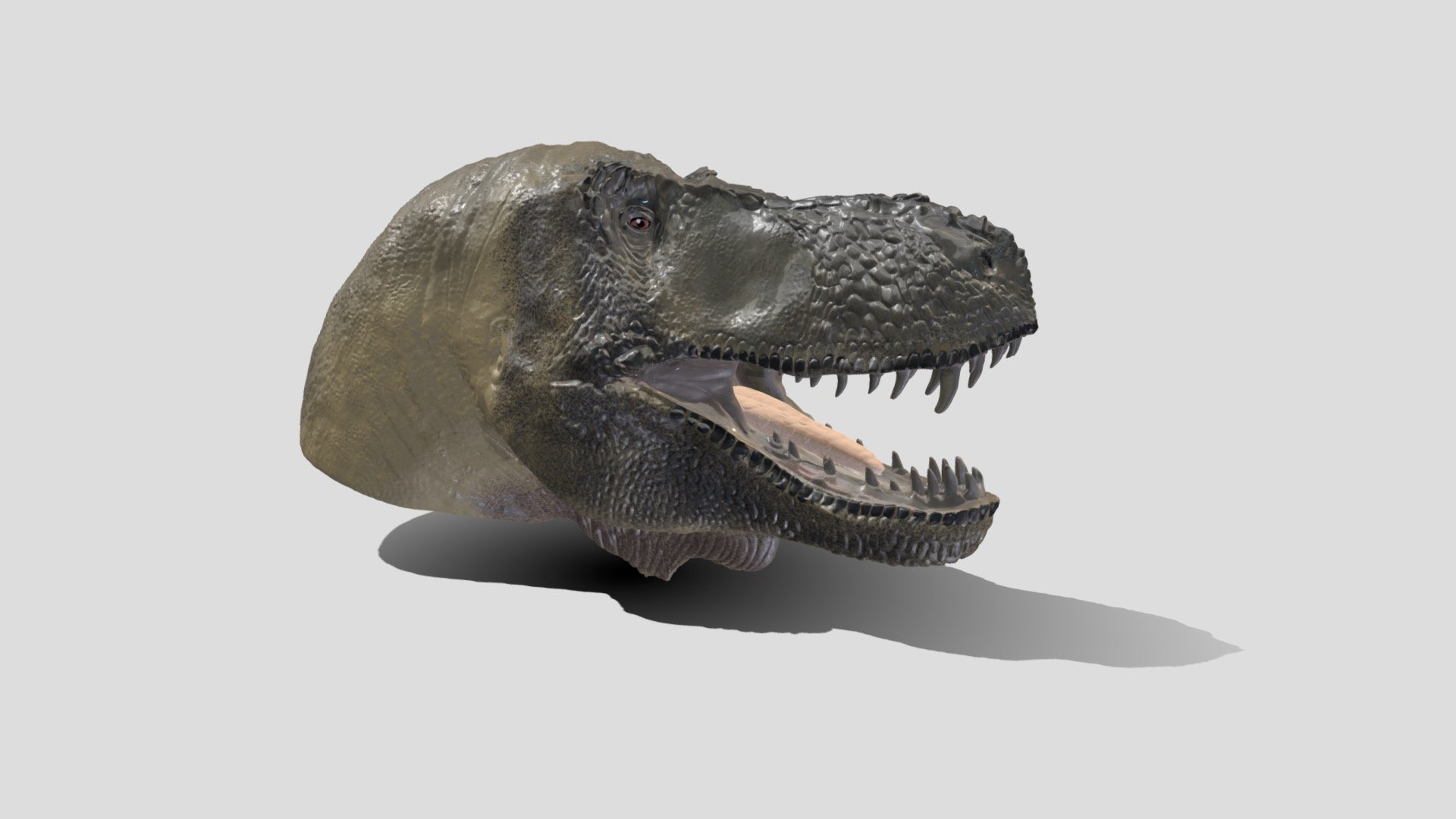T rex - 3D model by ALFERNANDEZ [8c582ea] - Sketchfab