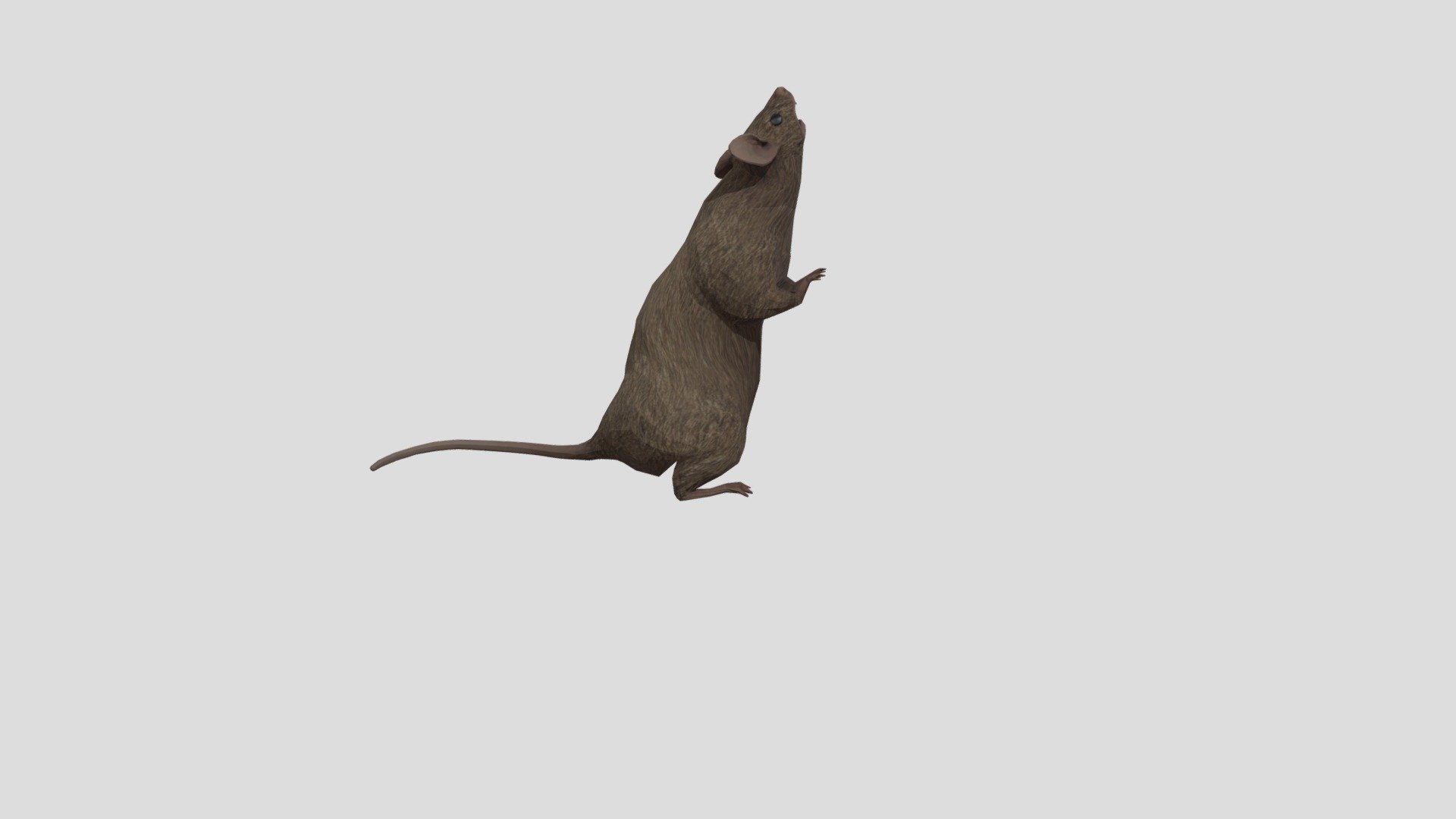 Rat All animation little nightmares 2 - Download Free 3D model by alex ...