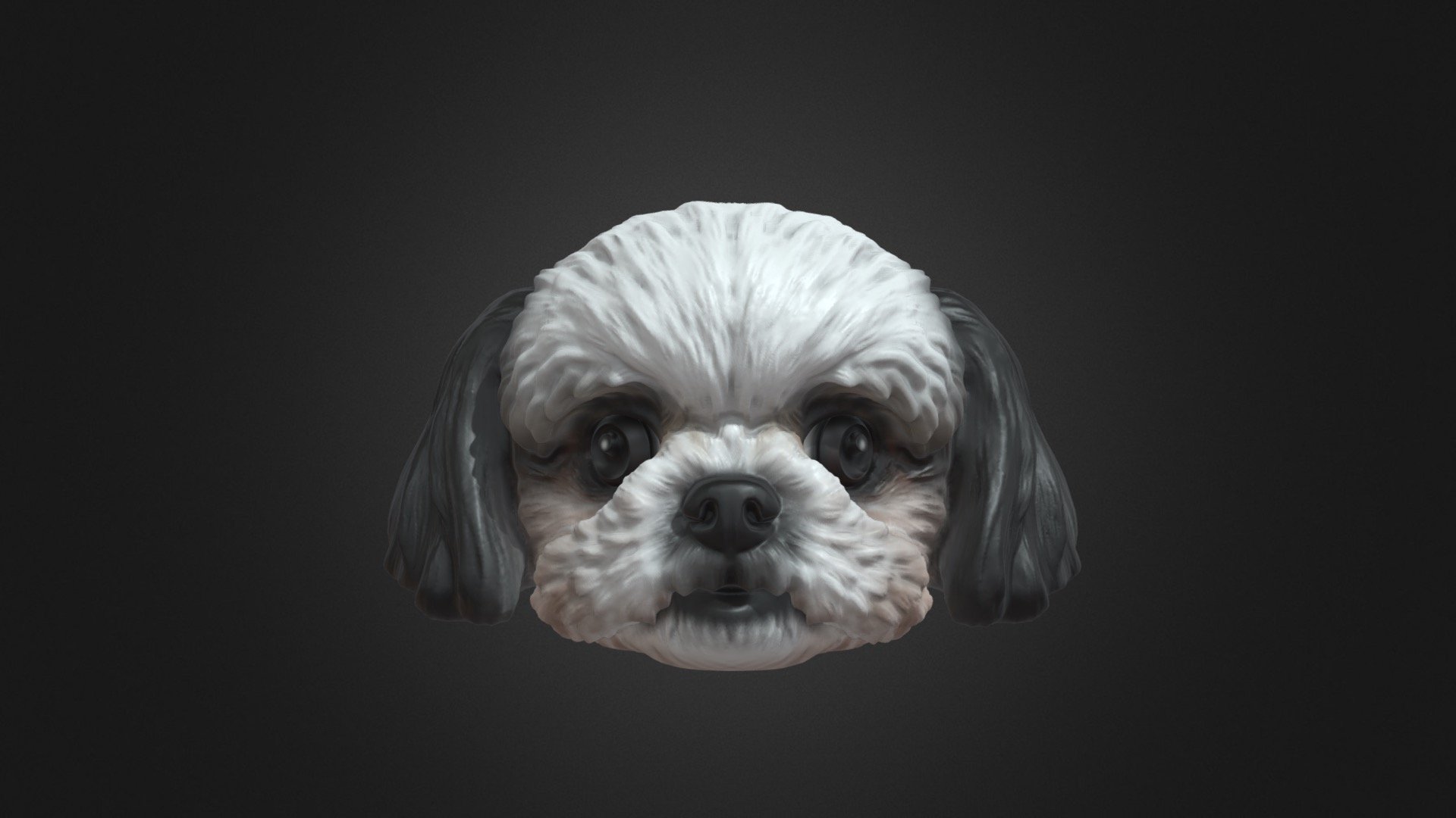 Winny's Shih Tzu model - 3D model by Seed by mi (@seedbymi) [8c5de27 ...