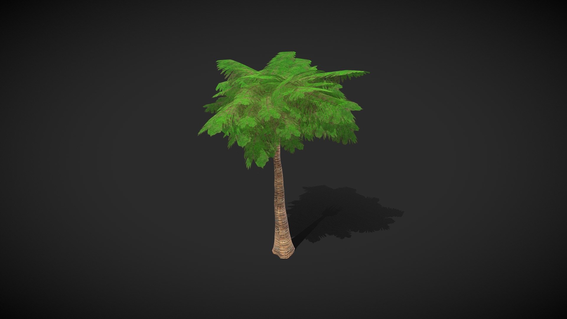 Palm Tree - 3D model by gregorymora [8c617f2] - Sketchfab