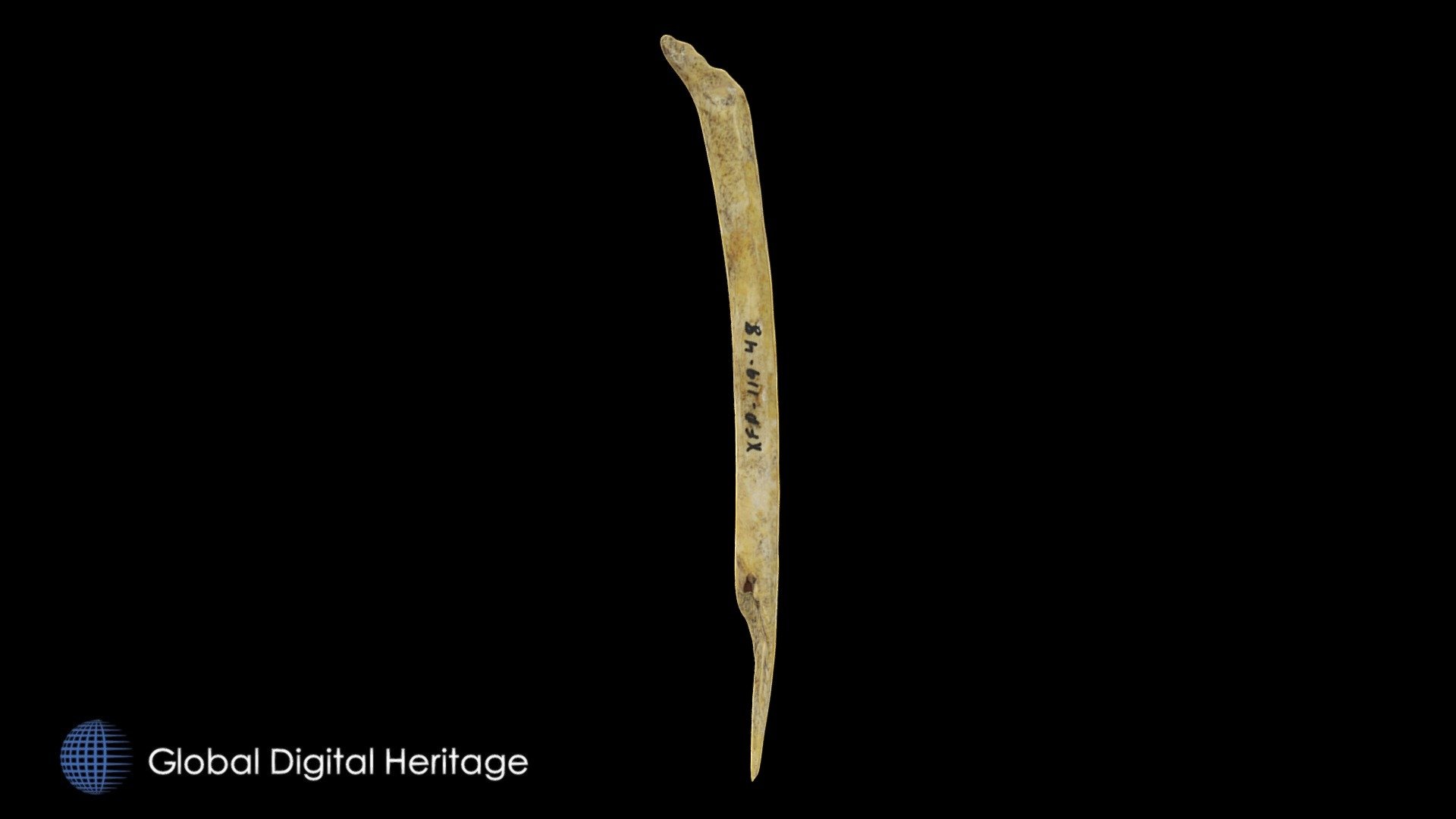Bird Bone Awl, XFP-119, Sanak Island, Alaska - Download Free 3D model ...