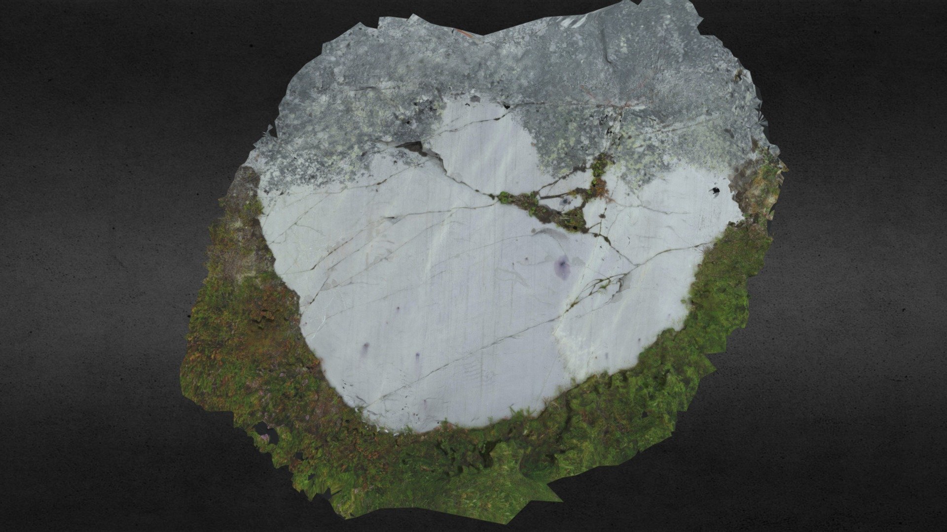 Alta Rock Art: Ole Pedersen 25 - 3D model by Alta Museum (@AltaMuseum ...