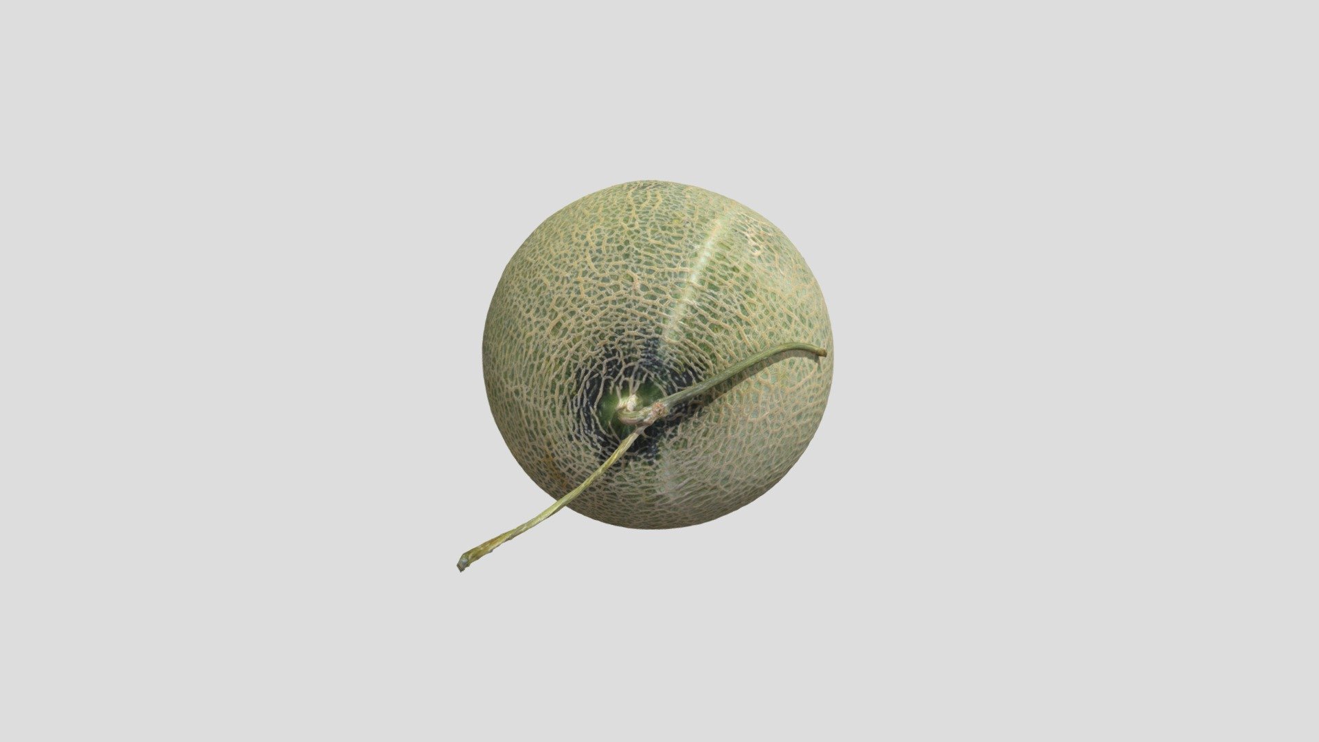 melon - 3D model by Atelier55 (@55atelier55) [8c75e24] - Sketchfab