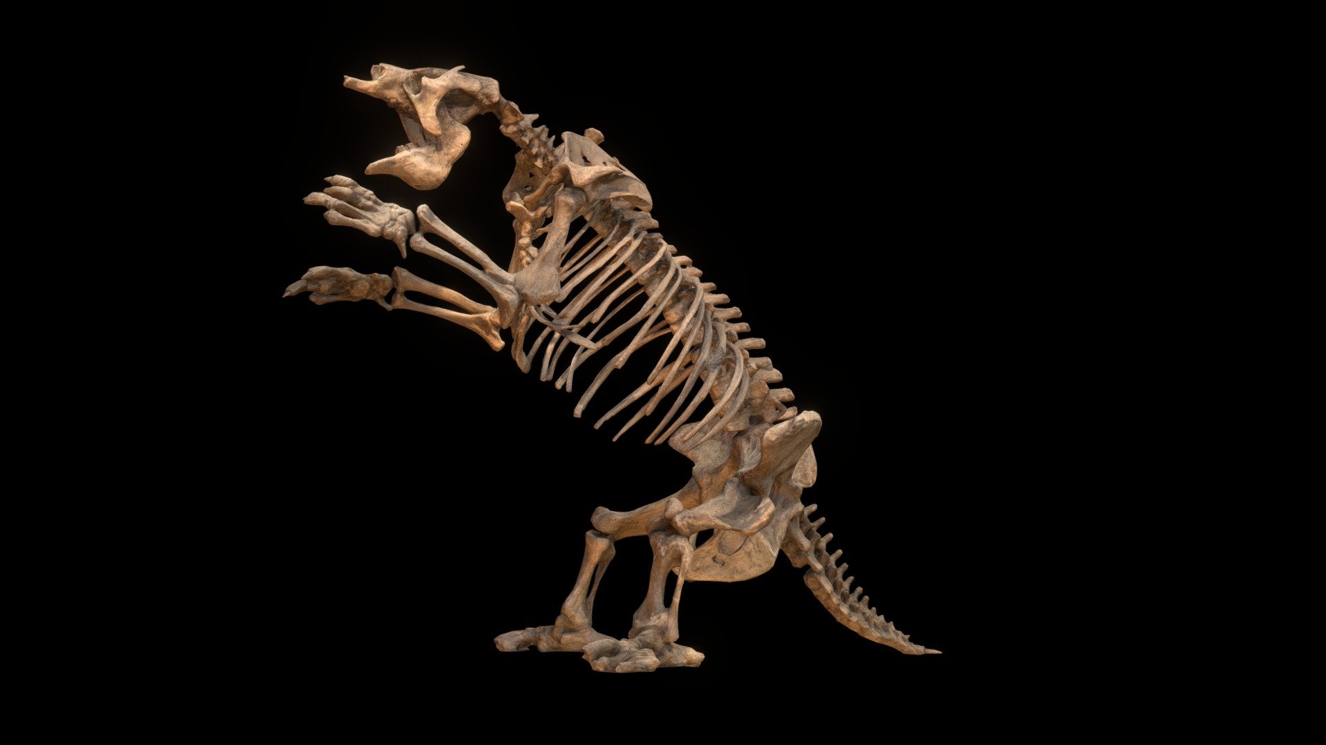 Megatherium | Tinta & Fogo VR - 3D model by studiokwo [8c76eda] - Sketchfab