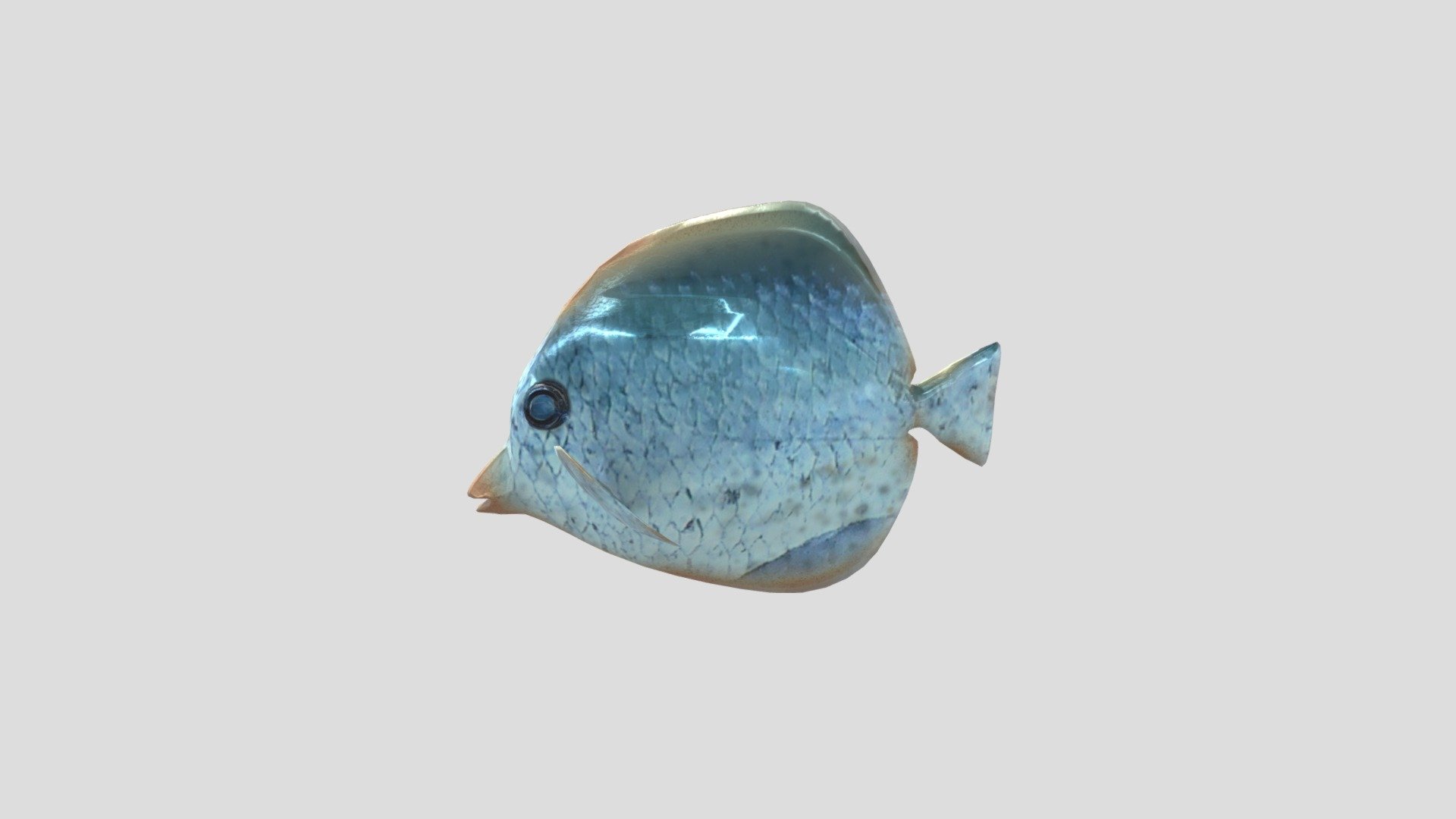 Dead Fish - Download Free 3D model by DonMcL [8c7eca4] - Sketchfab
