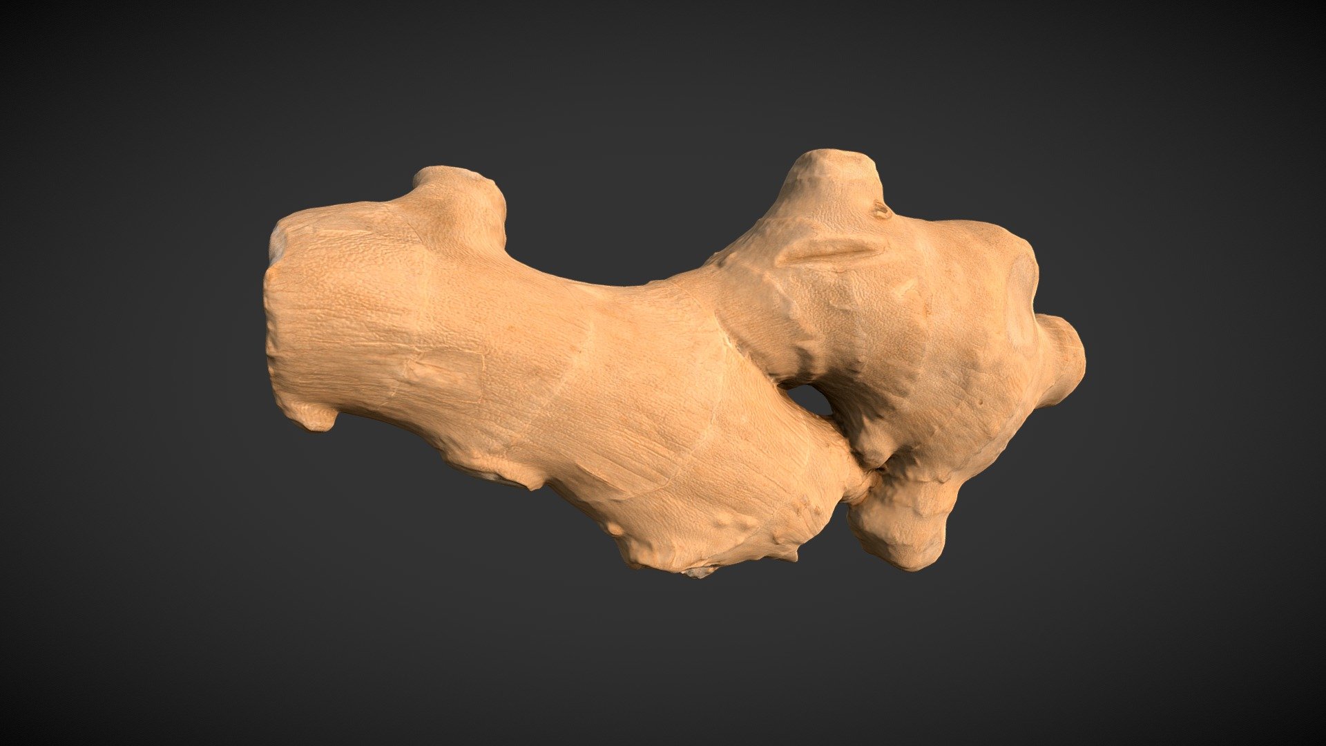 Ginger Root 01 3D Scan - Buy Royalty Free 3D model by 3DScanX [8c86d5e ...