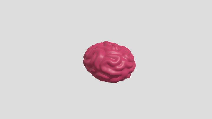 Brain 3D models - Sketchfab