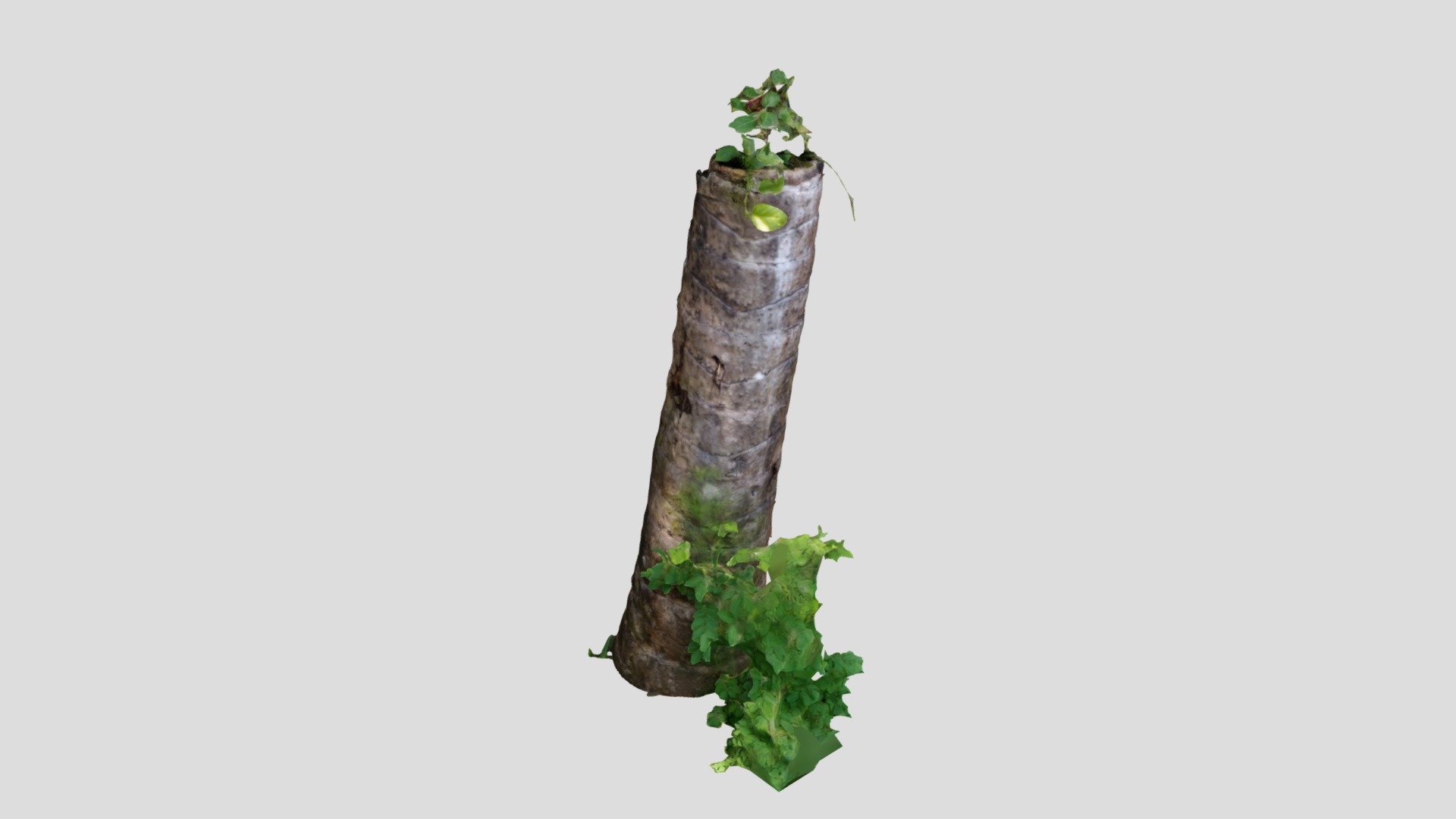 Tree - Download Free 3D model by hanhmnh82 [8c954d9] - Sketchfab