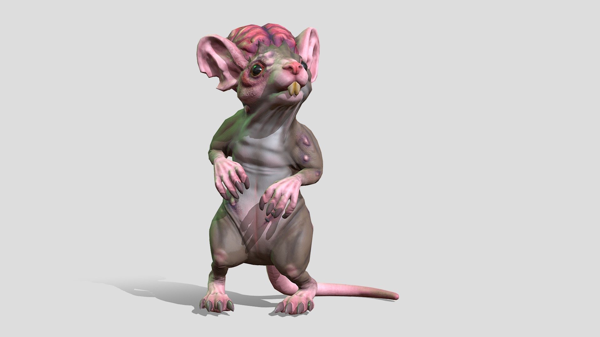 Lab Rat - 3D model by ArianedeLobkowicz [8c9e353] - Sketchfab