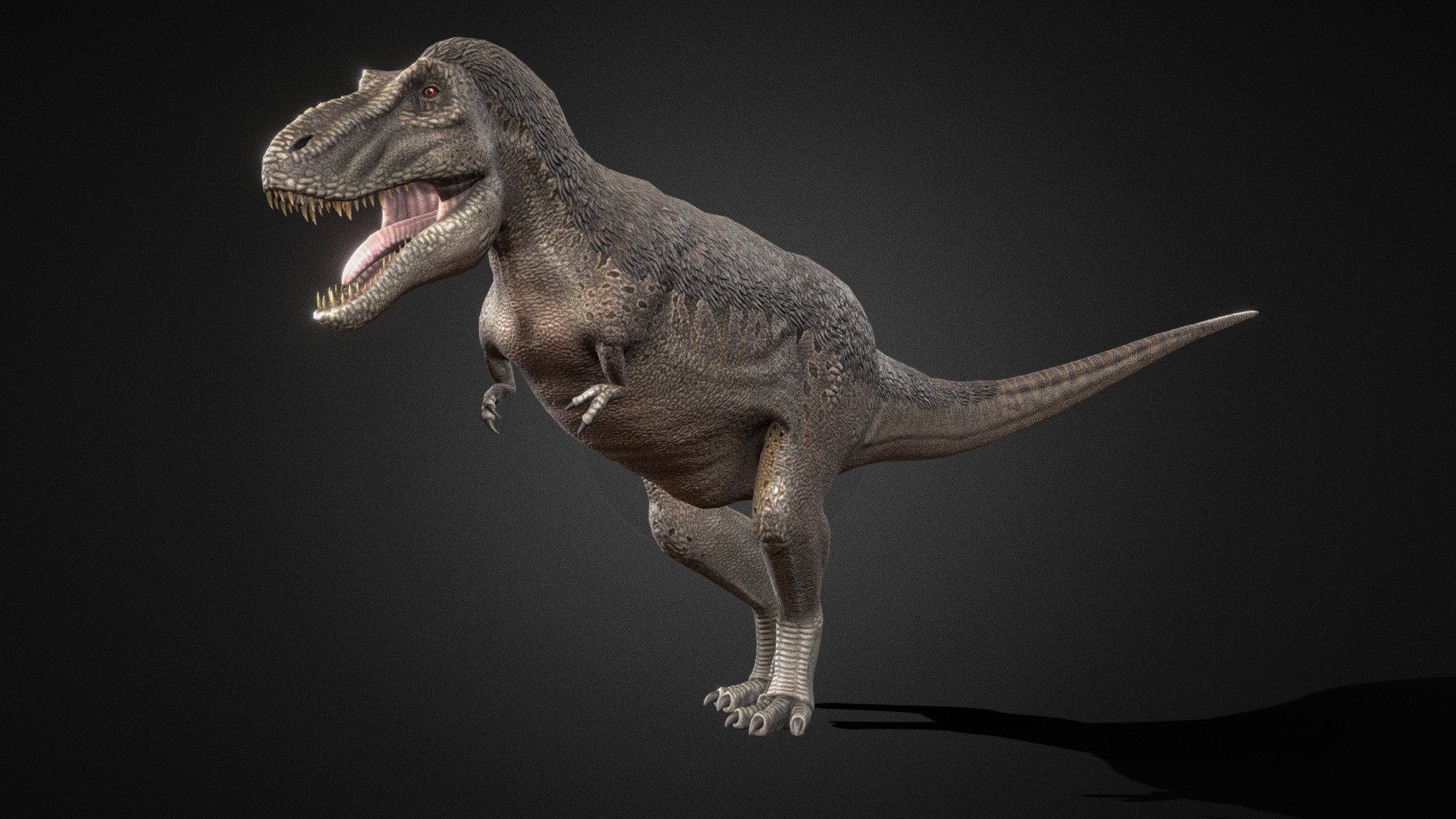 Tyrannosaurus Rex - Buy Royalty Free 3D model by Exmoor beast ...