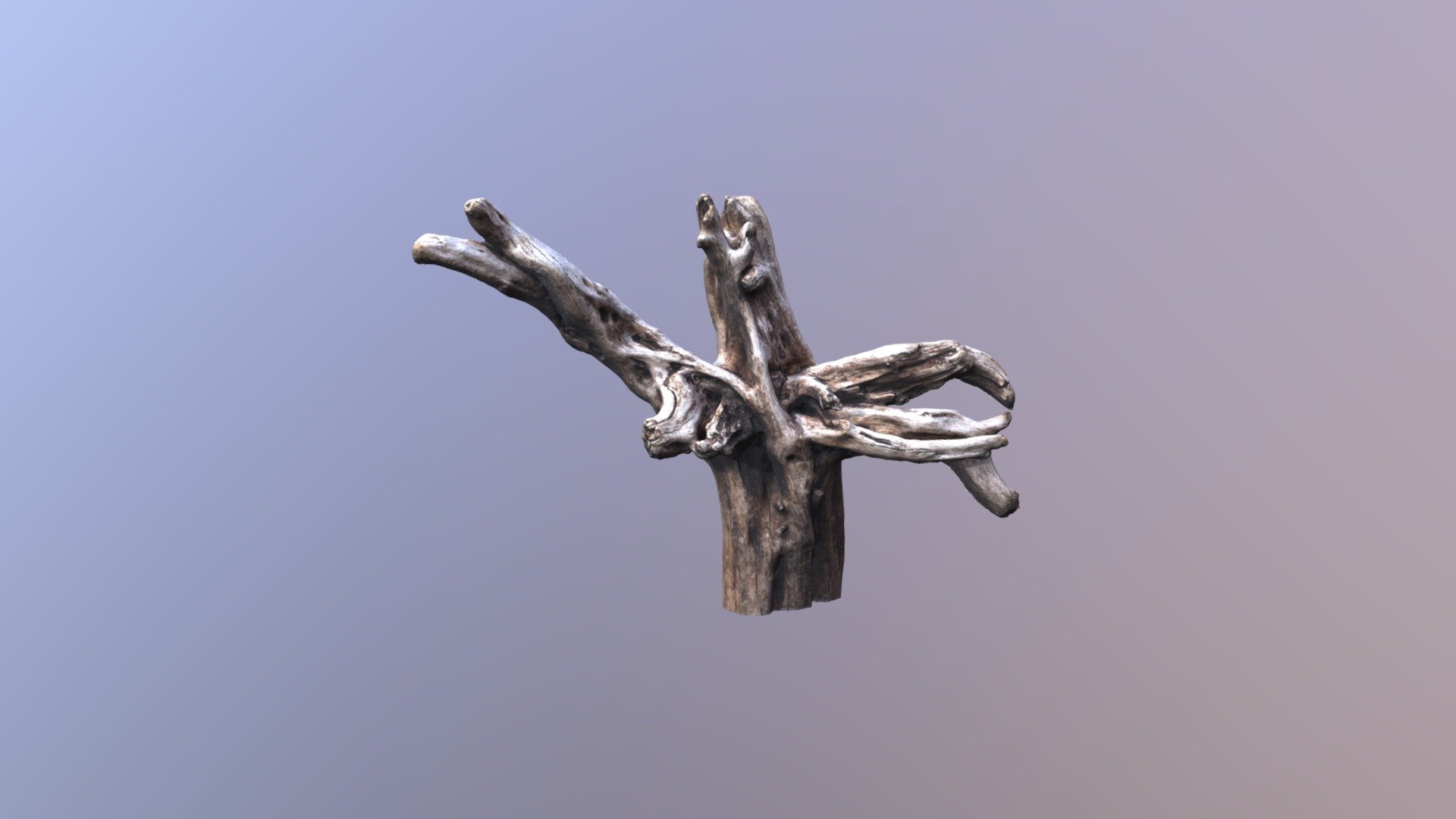 Wood2 - Download Free 3D model by blindspott100 [8cac89b] - Sketchfab