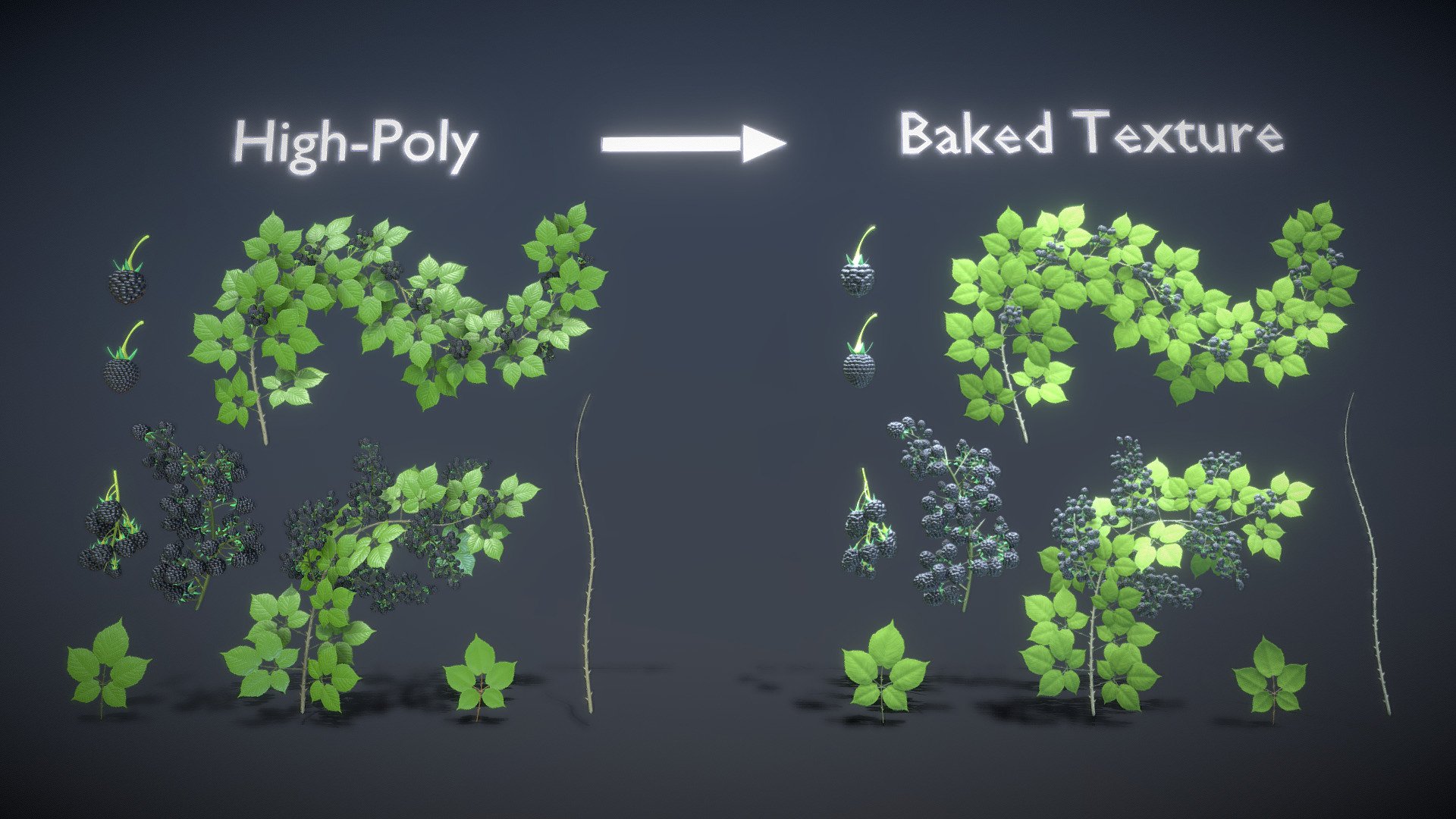 Blackberry Bush (WIP-3) Baked To Texture - Buy Royalty Free 3D model by VIS-All-3D (@VIS-All ...