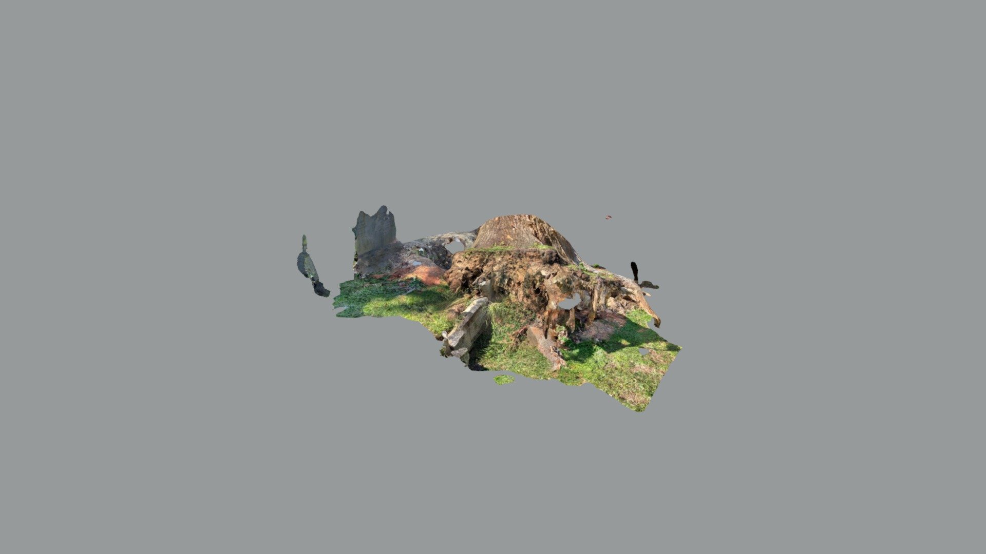 Tree Stump (VCU_3D_7525) - Download Free 3D model by Virtual Curation ...