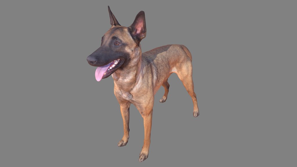 dogs - A 3D model collection by 3dmasterpiece - Sketchfab